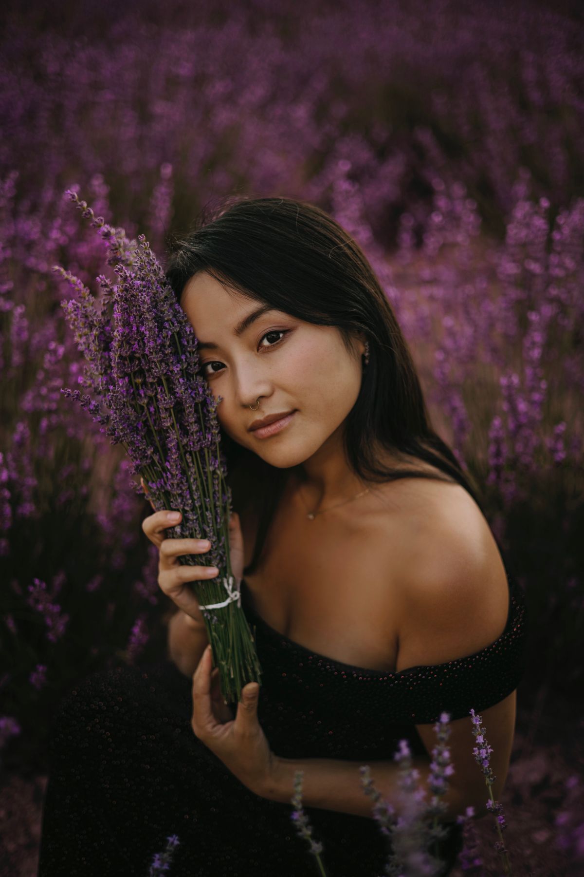 Lavender Flowers Photos, Download The BEST Free Lavender Flowers Stock ...