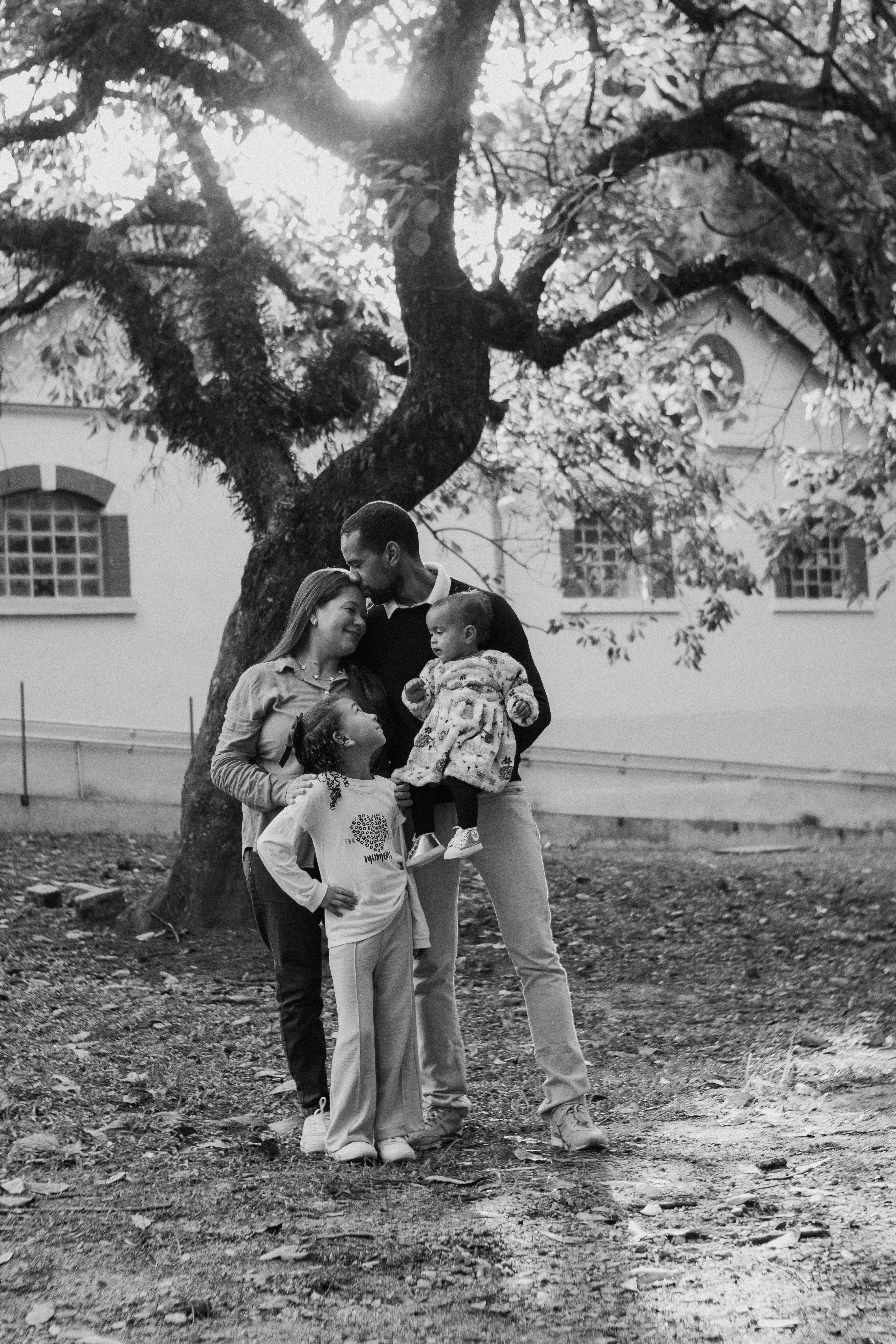 Family Tree Background Photos, Download The BEST Free Family Tree ...