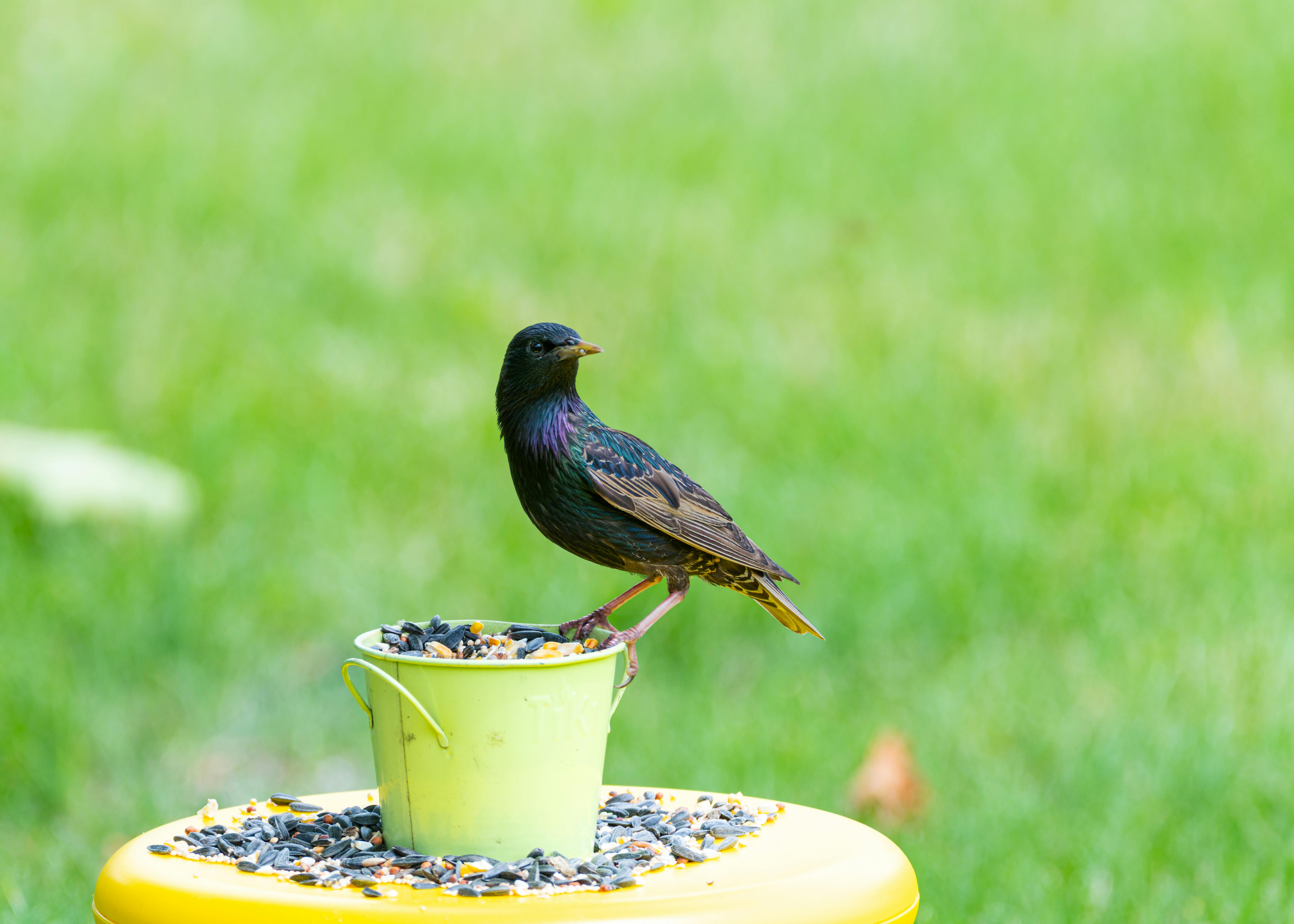 Behavior Photos, Download The BEST Free Behavior Stock Photos & HD Images