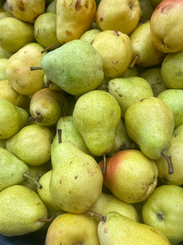 Pears Photos, Download The BEST Free Pears Stock Photos & HD Images