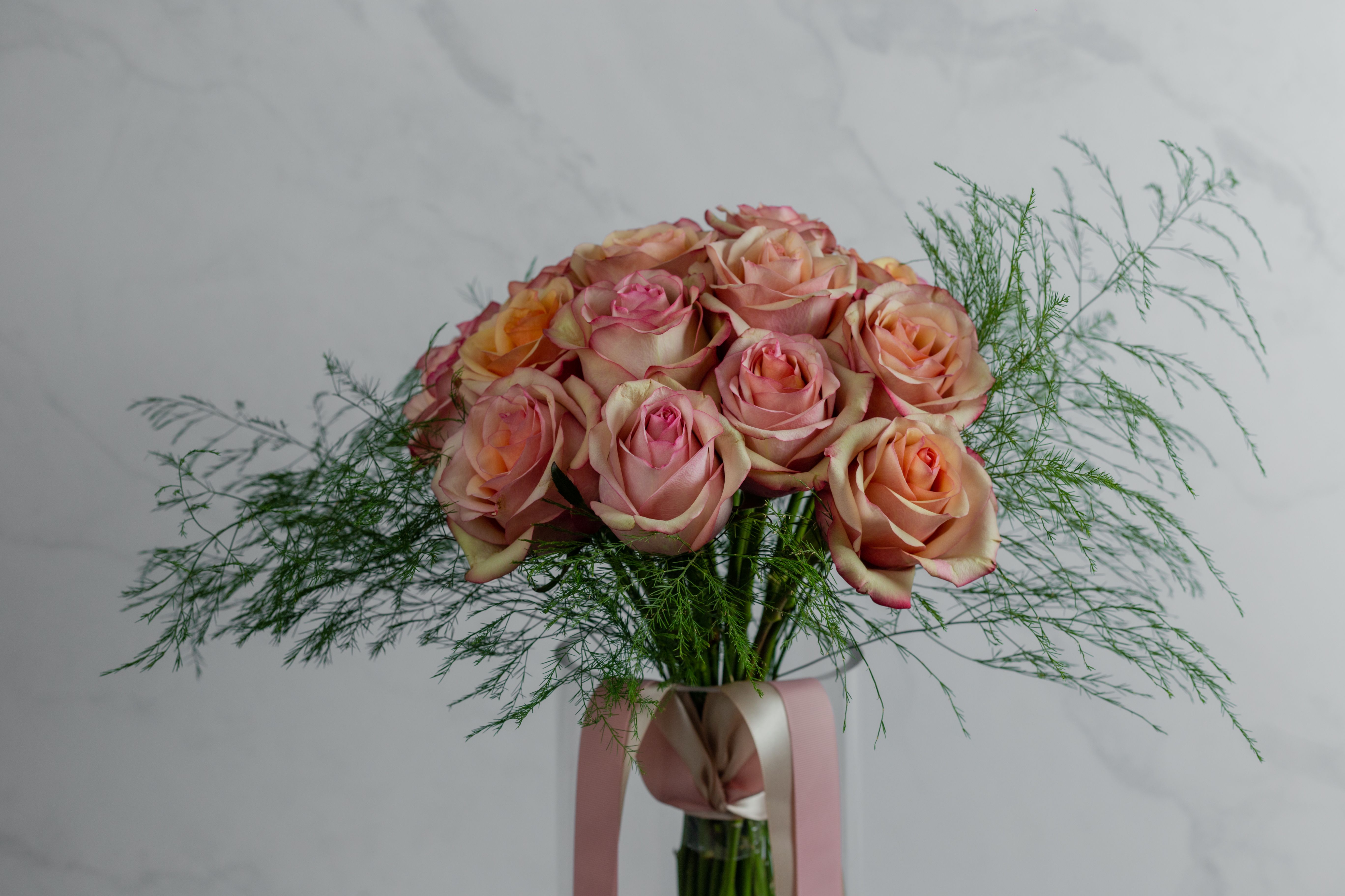 Le 300.000+ migliori foto di Rose Bellissime · Download gratuito al 100 ...