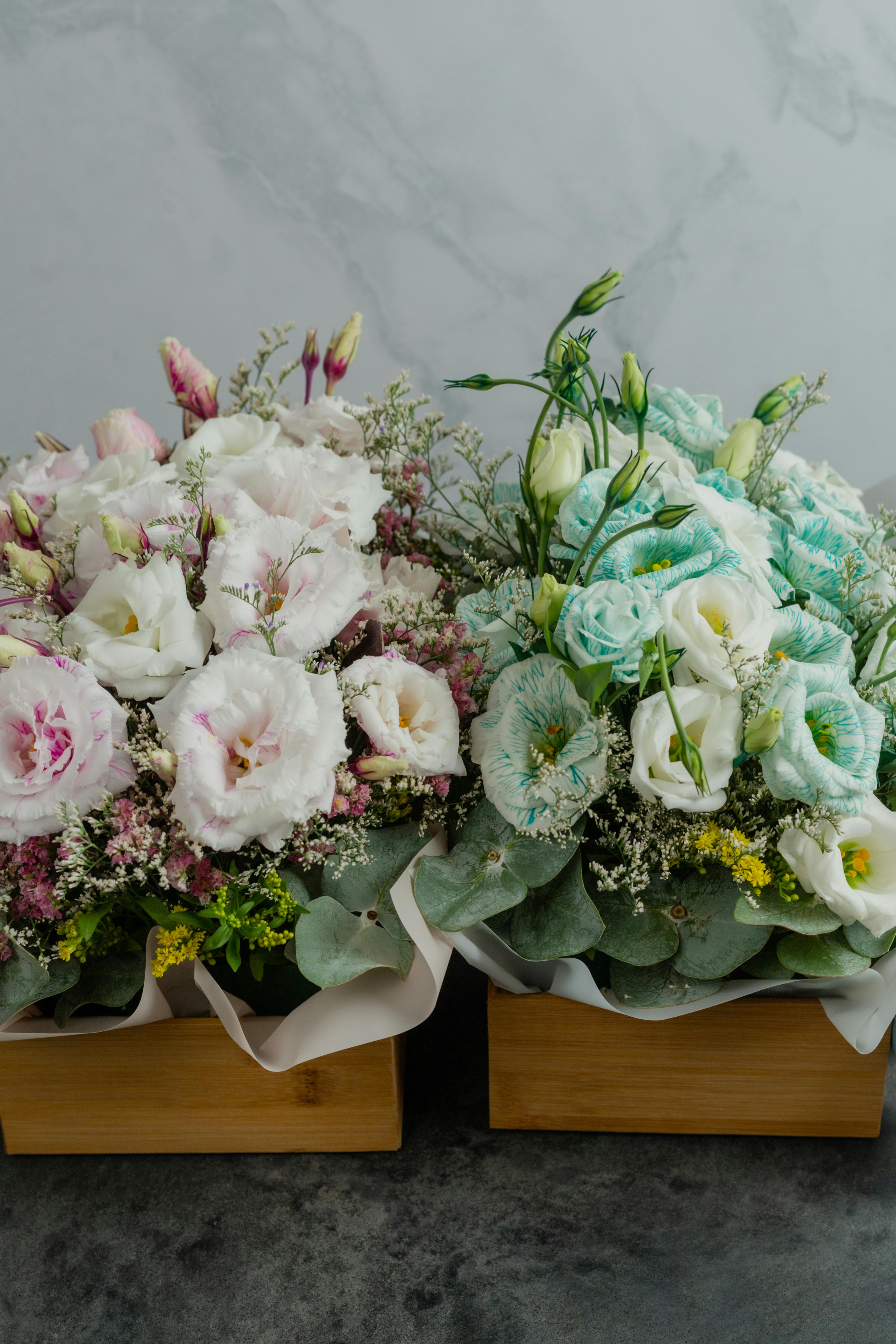 Soft Background Photos, Download The BEST Free Soft Background Stock ...