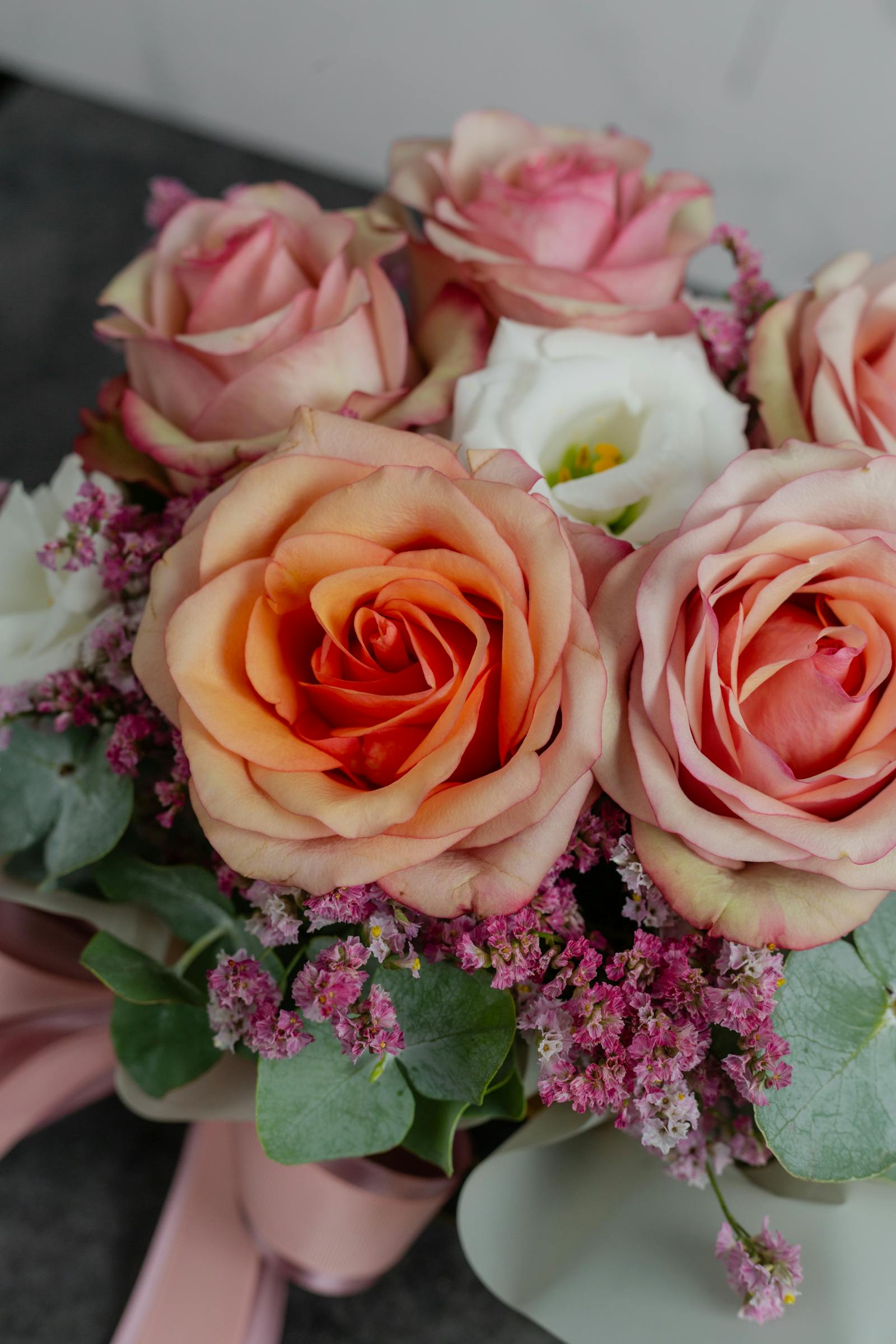 Peach Color Photos, Download The BEST Free Peach Color Stock Photos ...