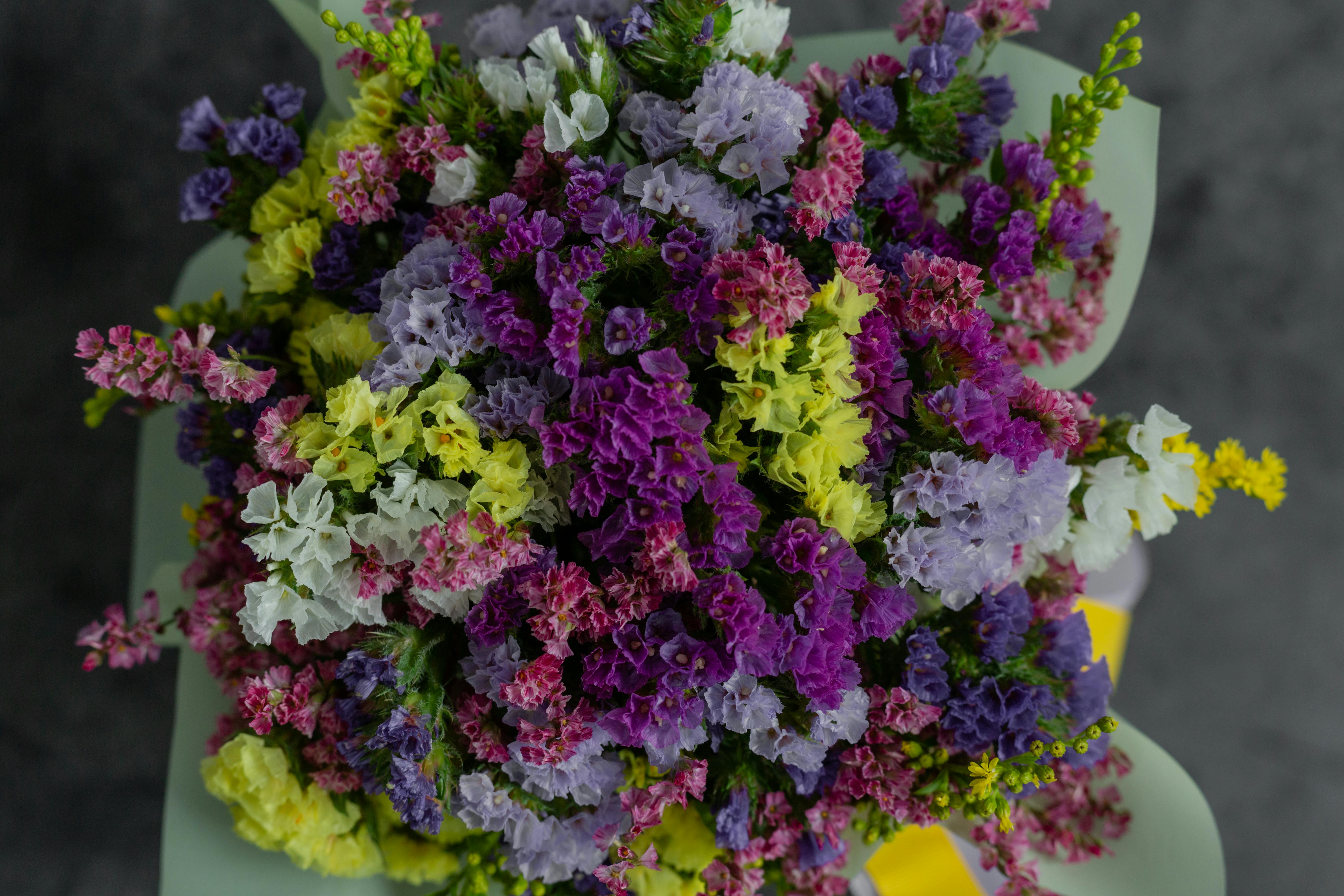 Violet Backgrounds Photos, Download The BEST Free Violet Backgrounds ...