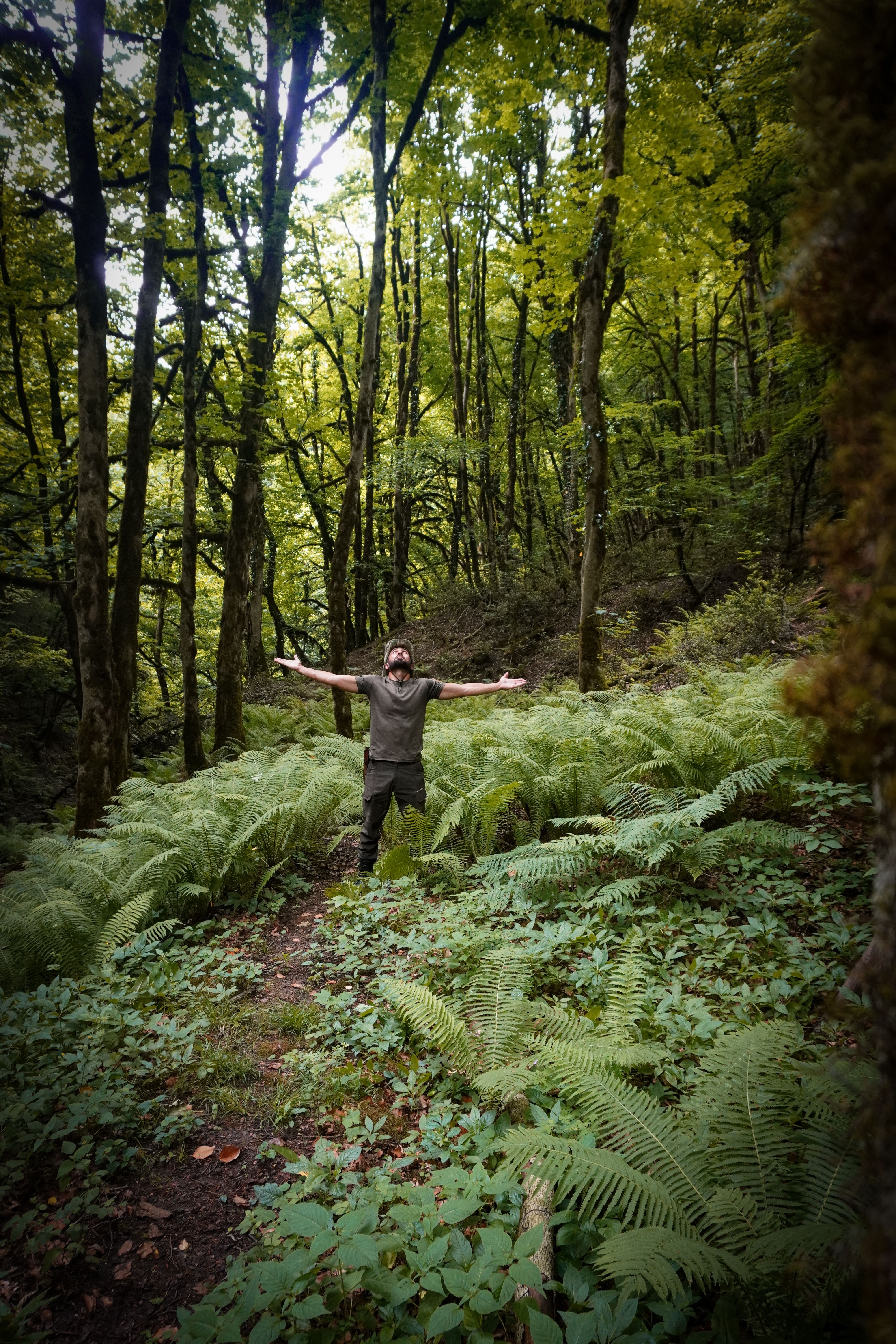 Man Enjoying Nature Walk in Lush Green Forest · Free Stock Photo