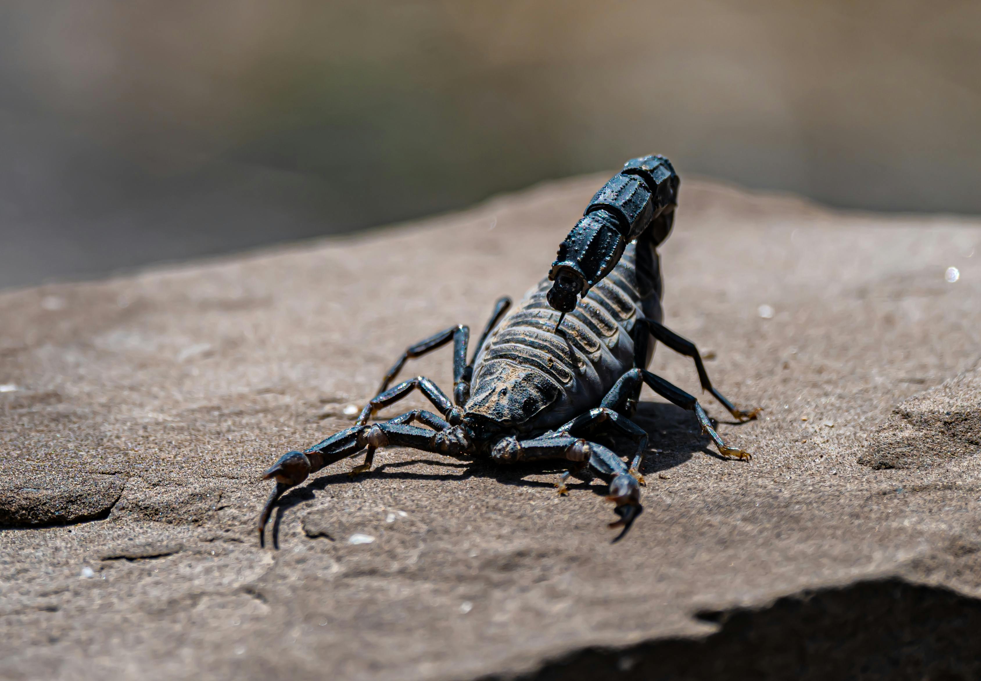 Color Theory Photography Tips Photos, Download The BEST Free Color ...