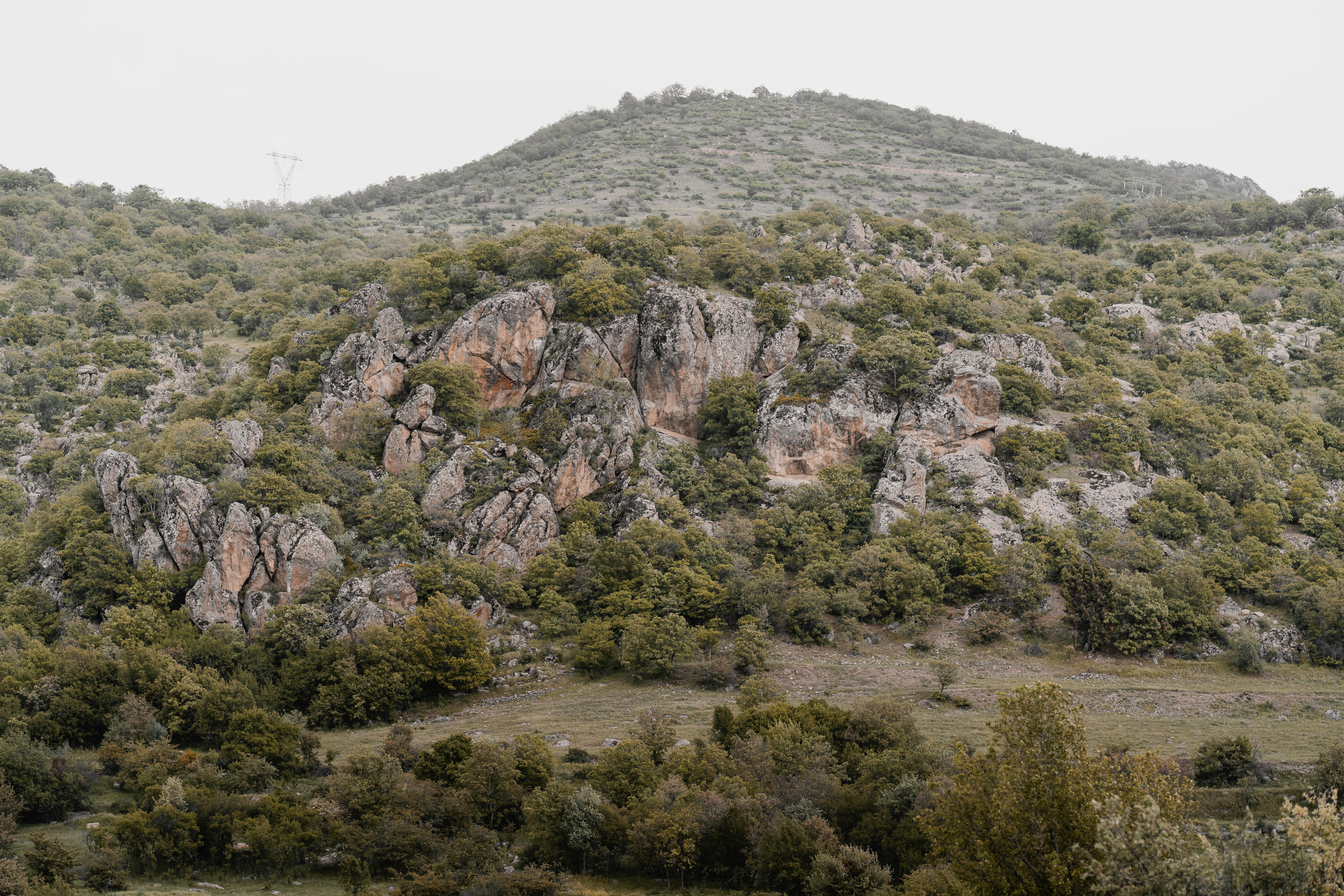 Plants Pixel Photos, Download The BEST Free Plants Pixel Stock Photos ...