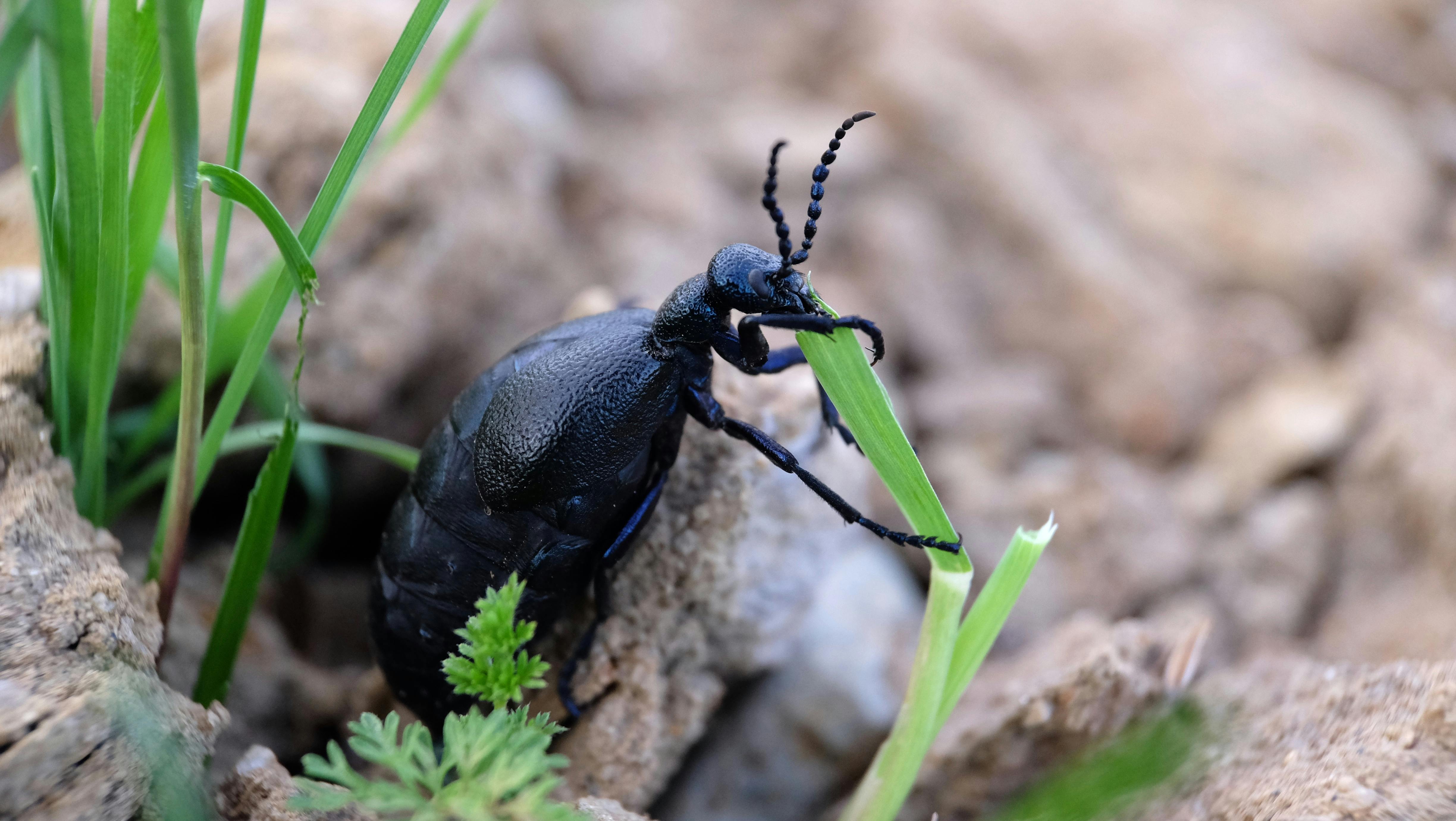 1584 X 396 Photos, Download The BEST Free 1584 X 396 Stock Photos & HD ...