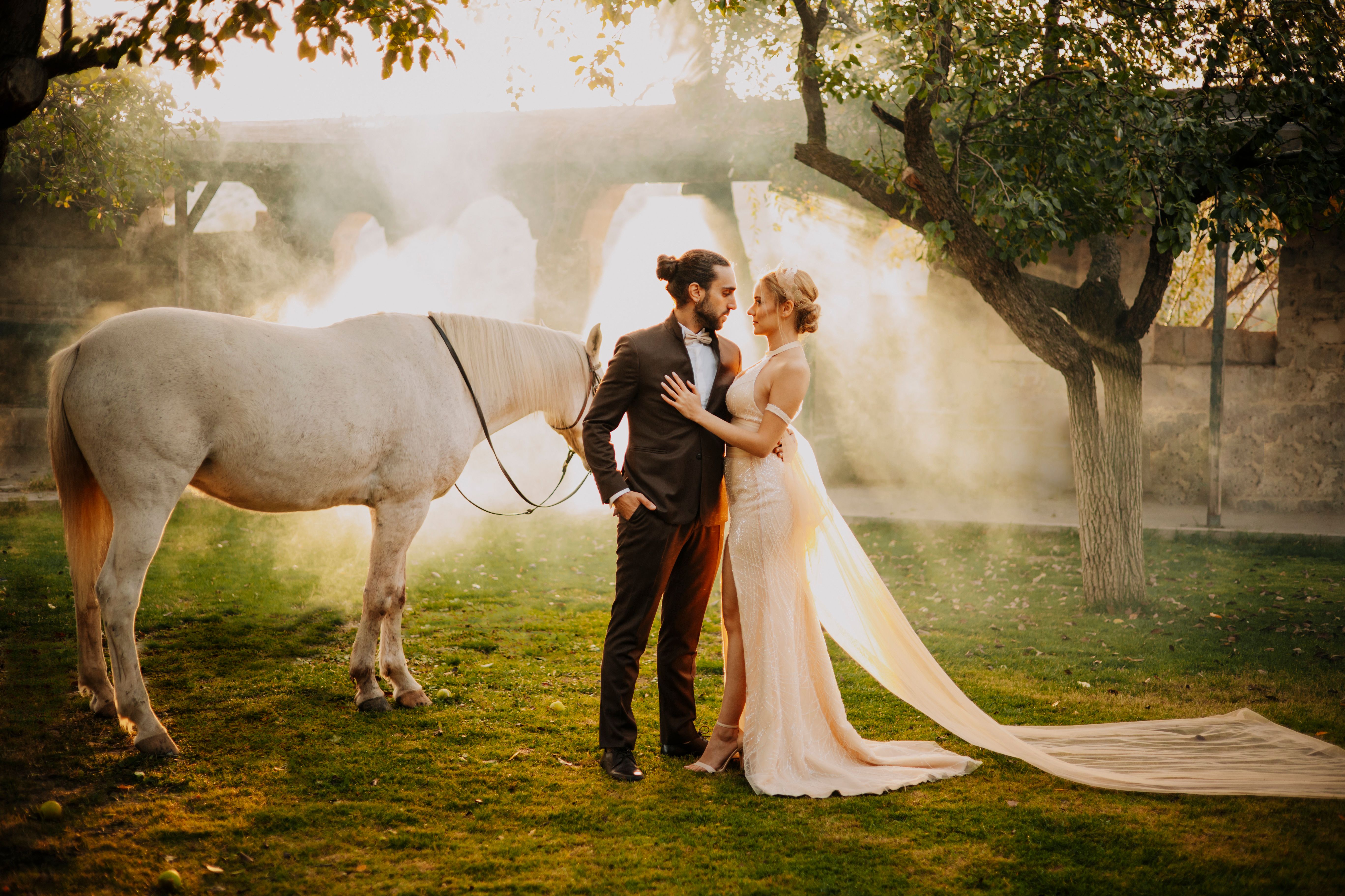 Fairy Tale Photos, Download The BEST Free Fairy Tale Stock Photos & HD ...