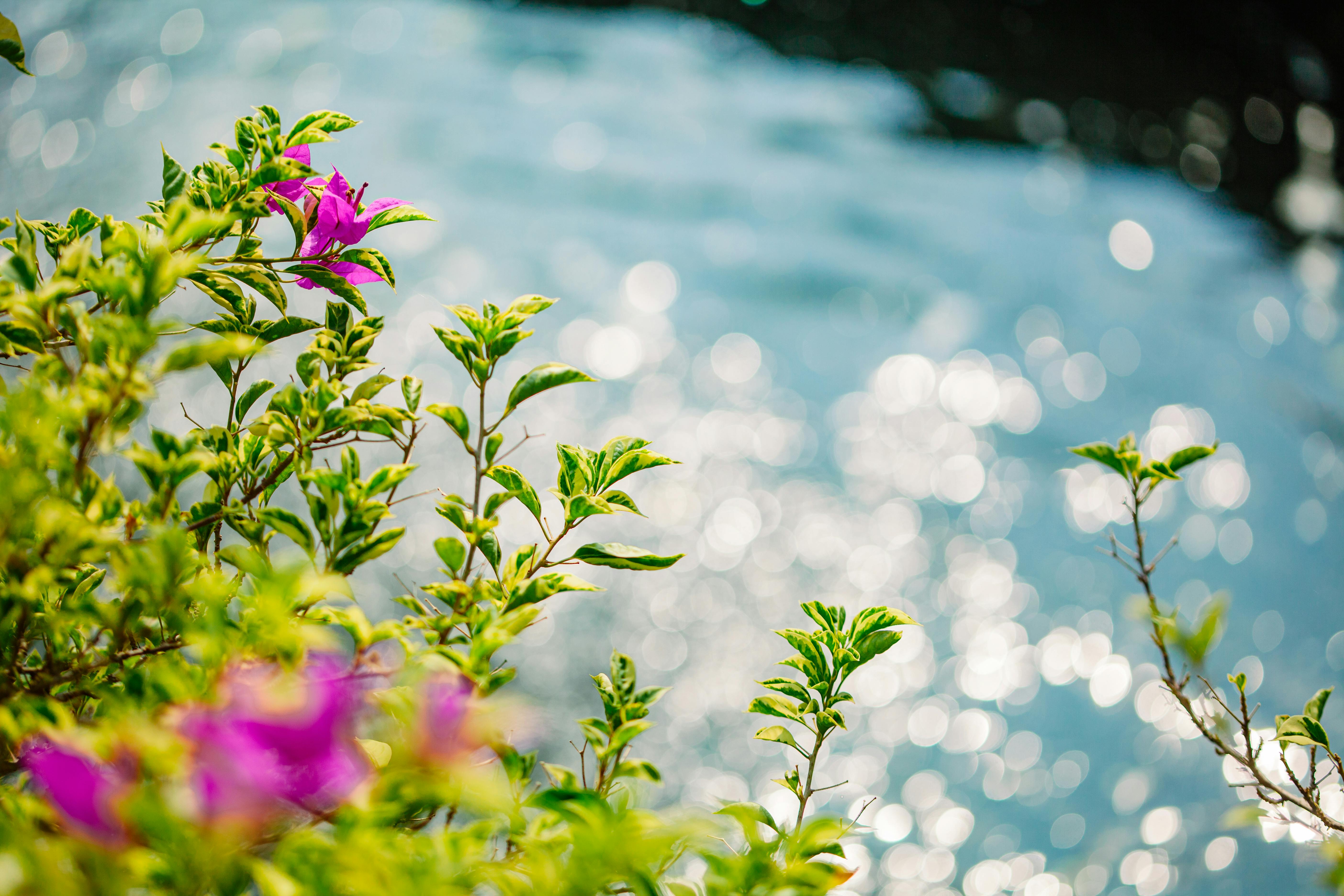 Calming Photos, Download The BEST Free Calming Stock Photos & HD Images