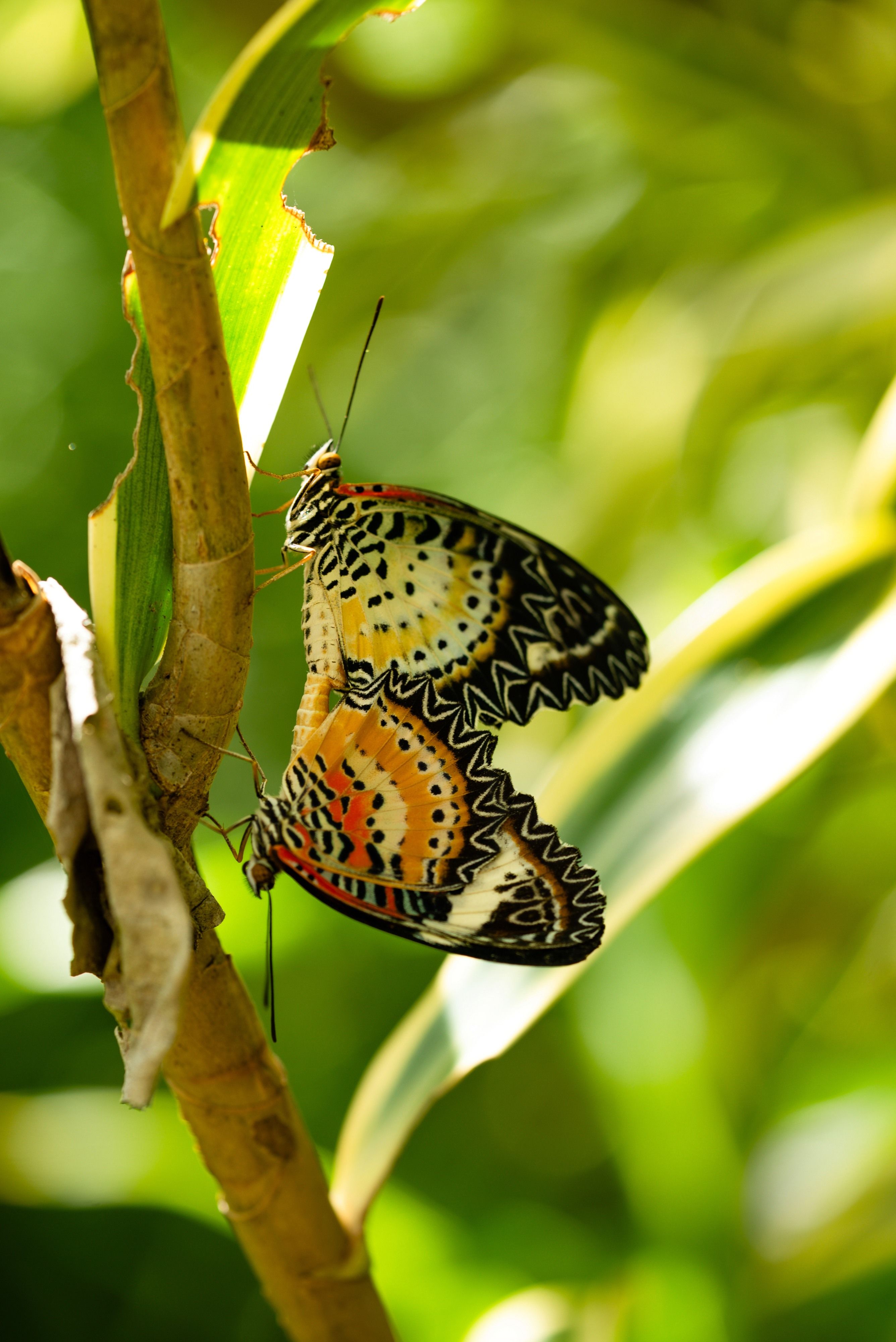 Plant And Animals Photos, Download The BEST Free Plant And Animals ...