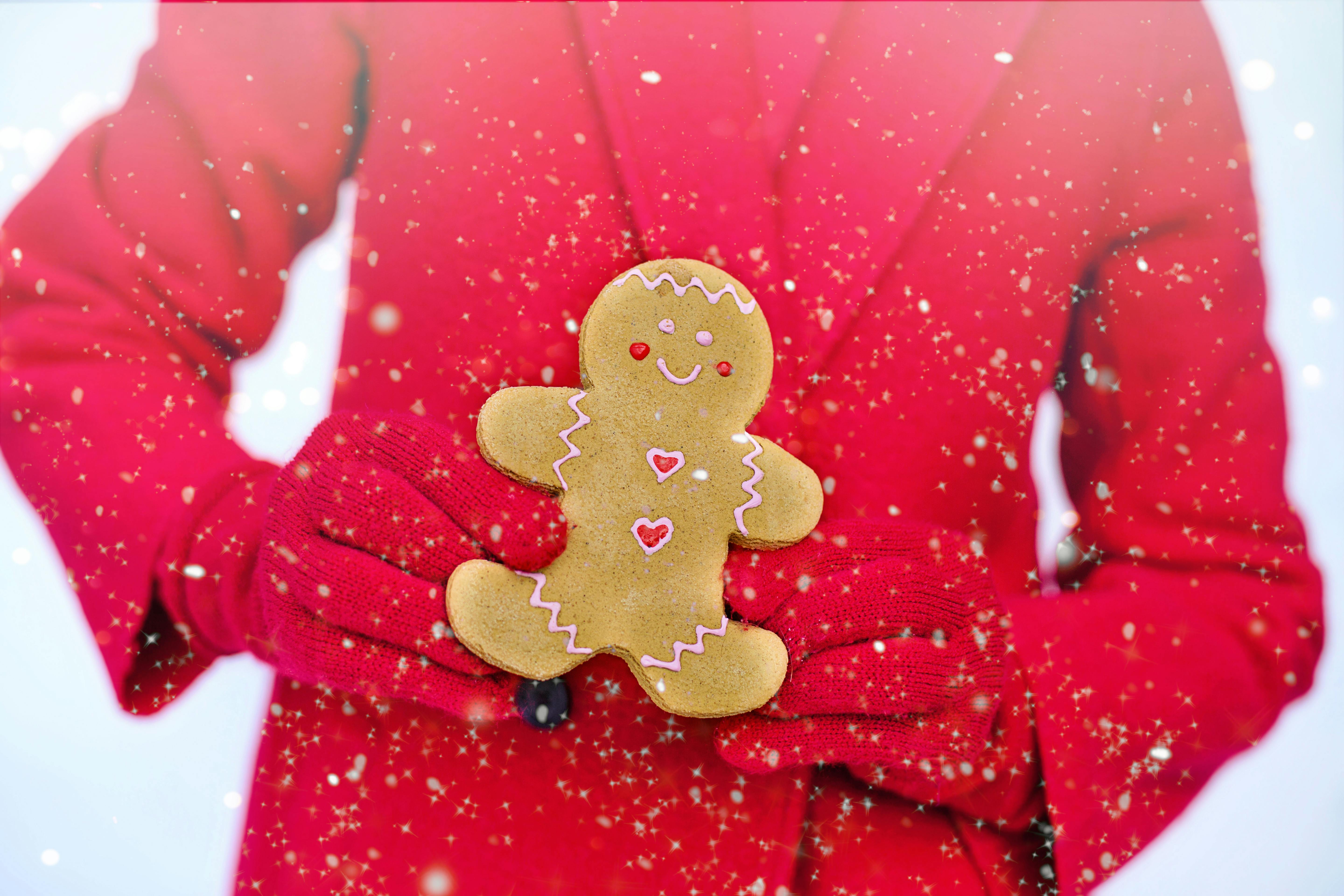 Gingerbread Photos, Download The BEST Free Gingerbread Stock Photos ...