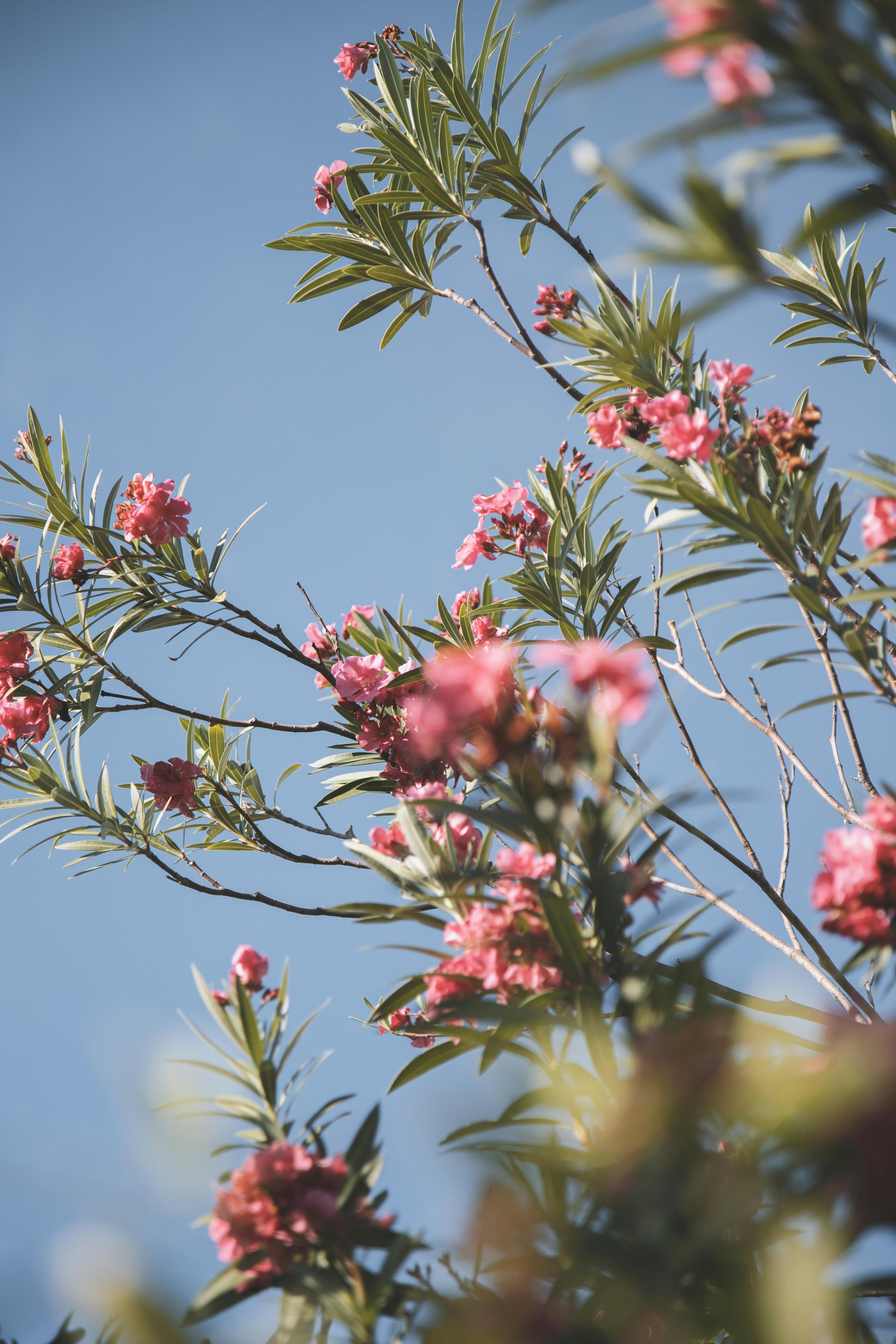 Xbox+One+Weed+Wallpaper Photos, Download The BEST Free Xbox+One+Weed ...