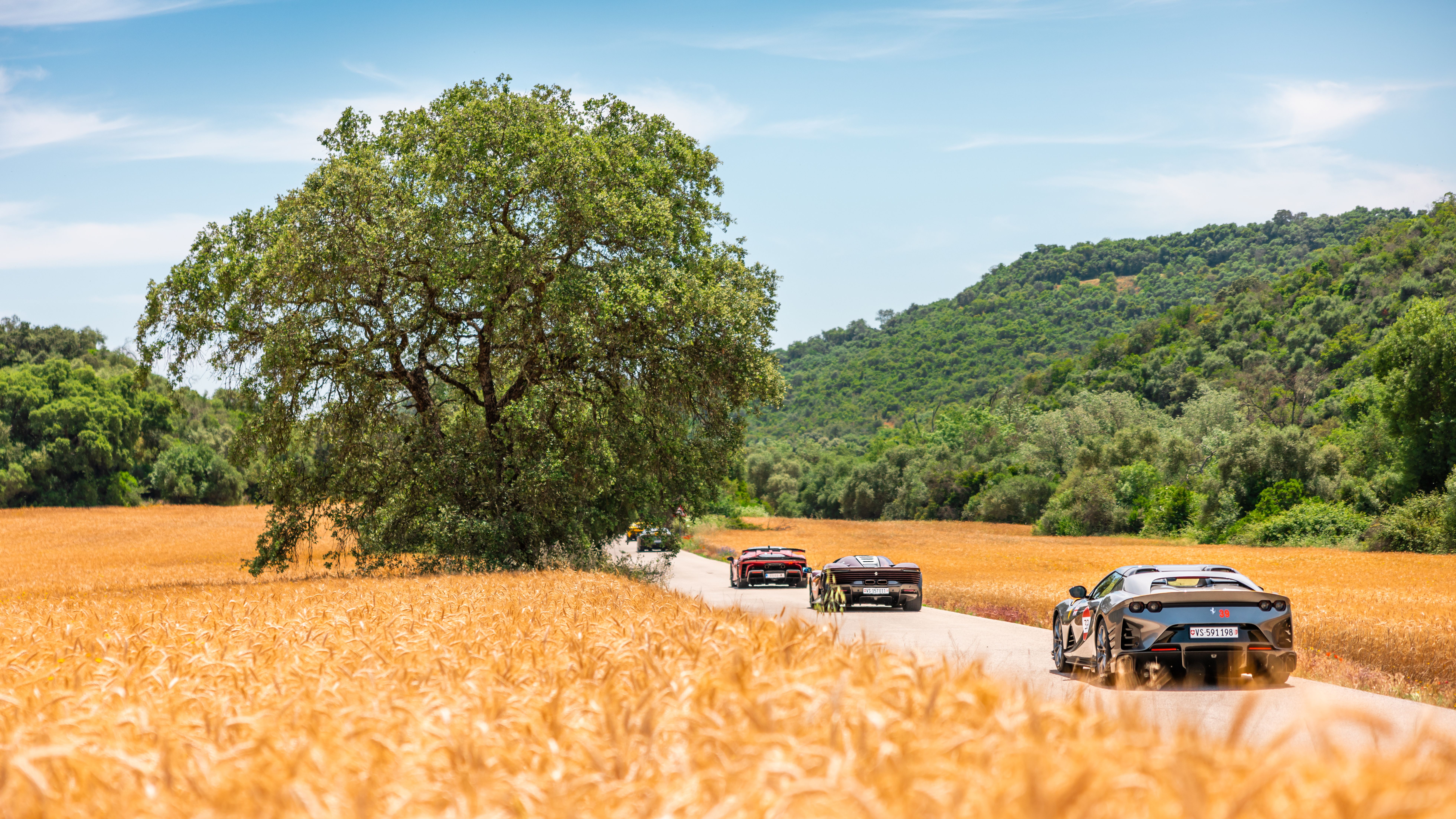 Sports Cars on Scenic Country Road in Summer · Free Stock Photo