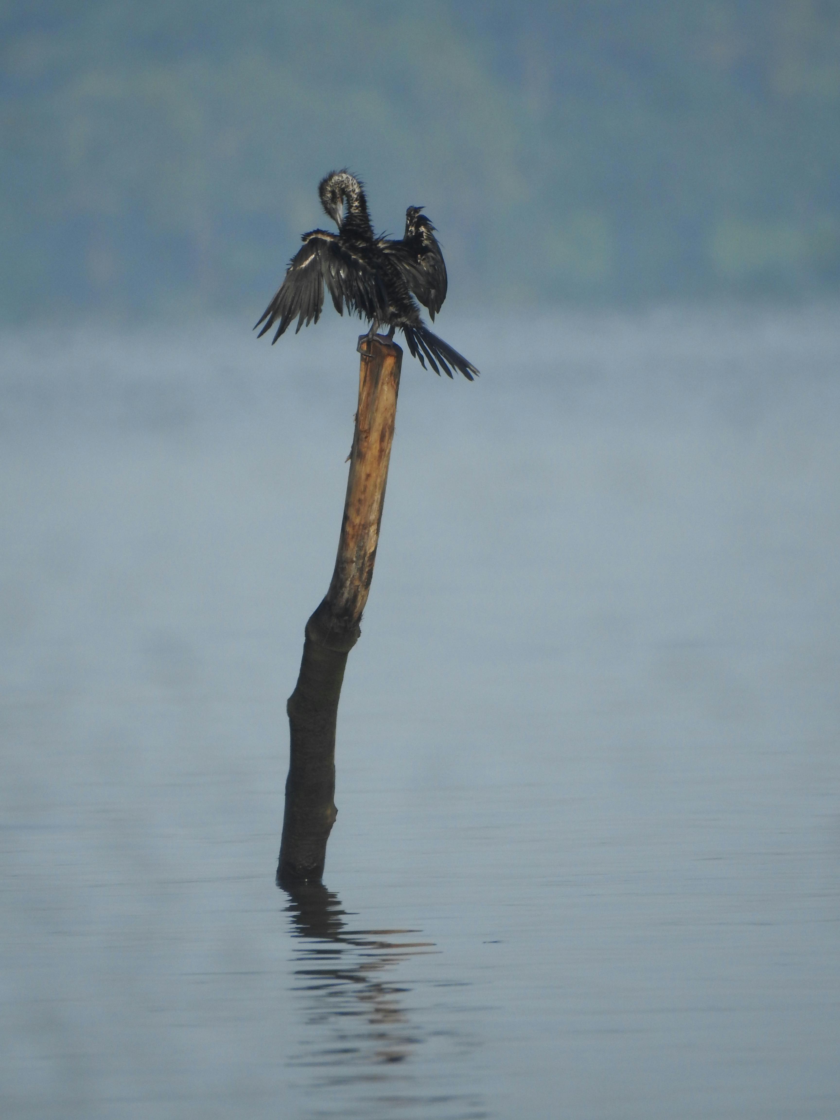 Tri Colour Sky Photos, Download The BEST Free Tri Colour Sky Stock ...