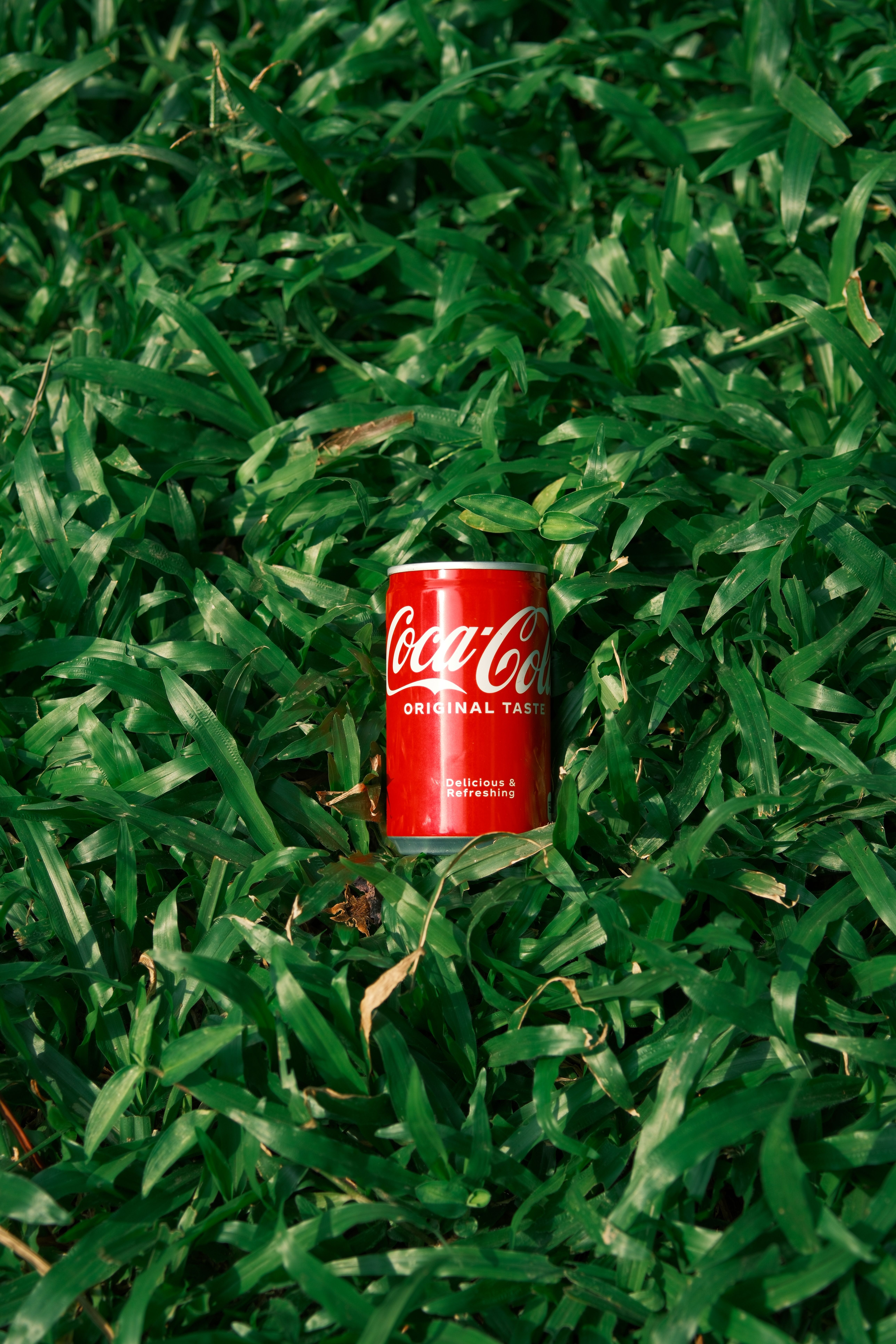 Lata De Coca Cola Em Grama Verde Vibrante · Foto profissional gratuita