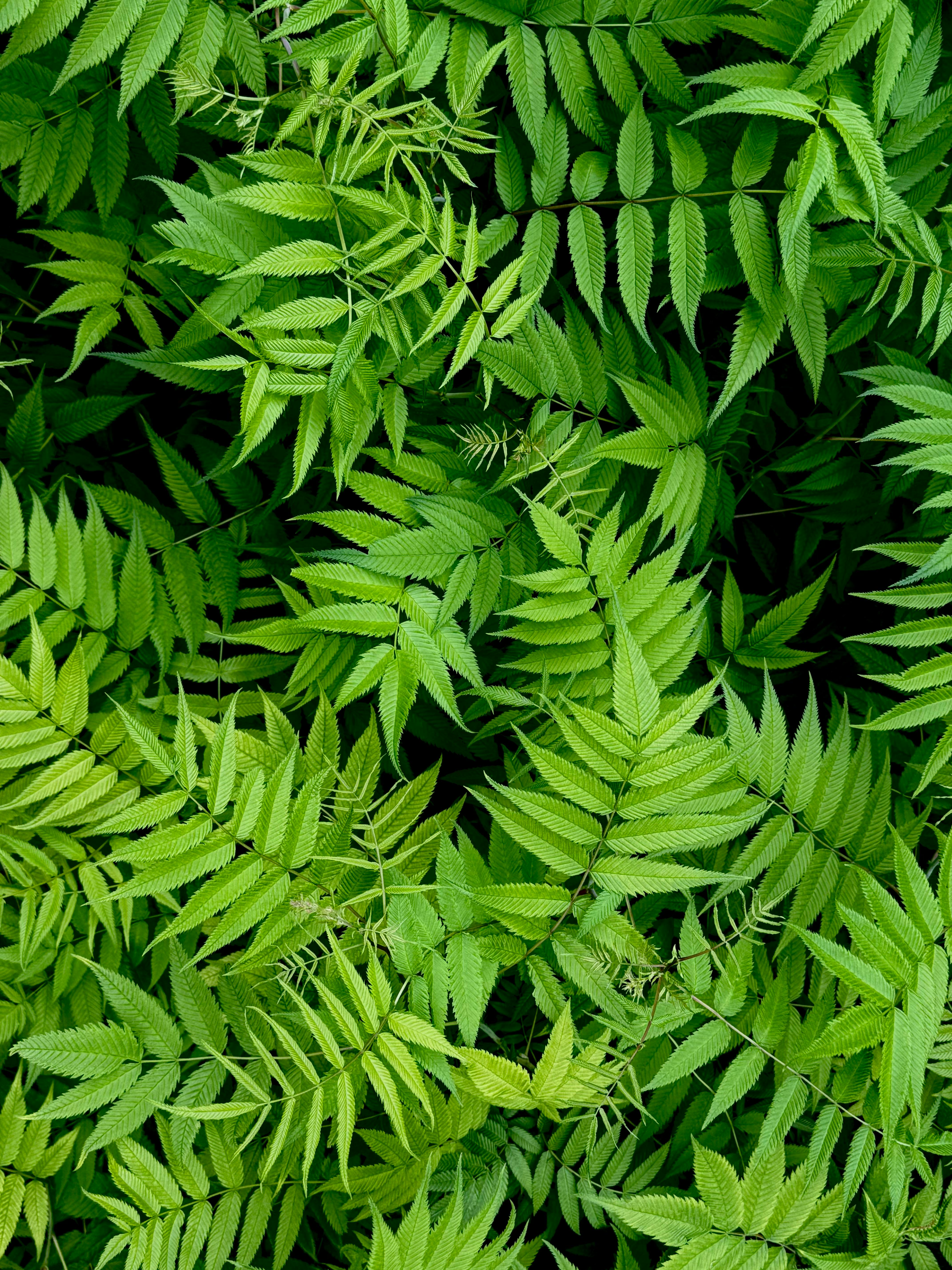 Xbox+One+Weed+Wallpaper Photos, Download The BEST Free Xbox+One+Weed ...