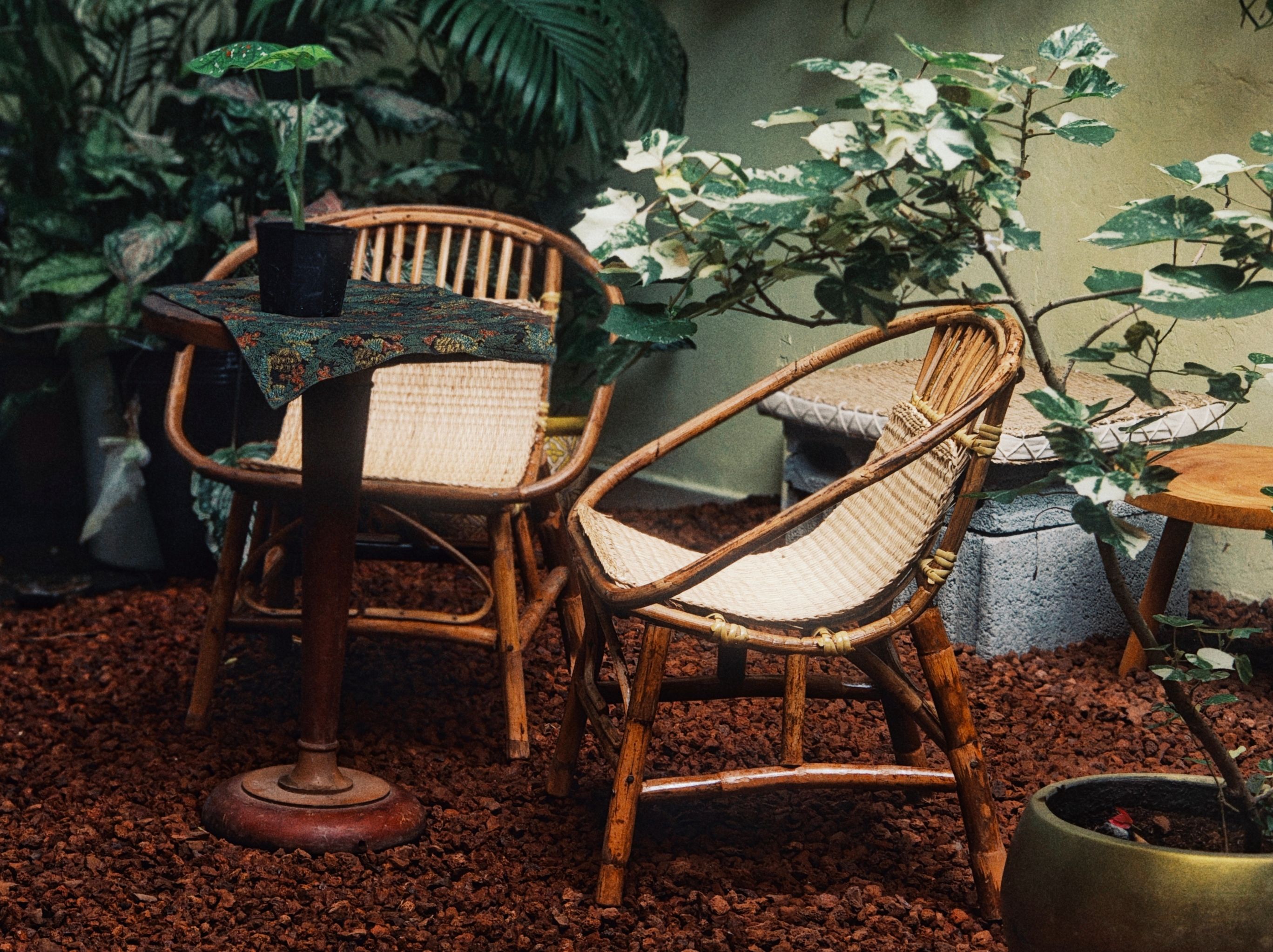 Cozy Outdoor Seating with Tropical Foliage in Vietnam · Free Stock Photo