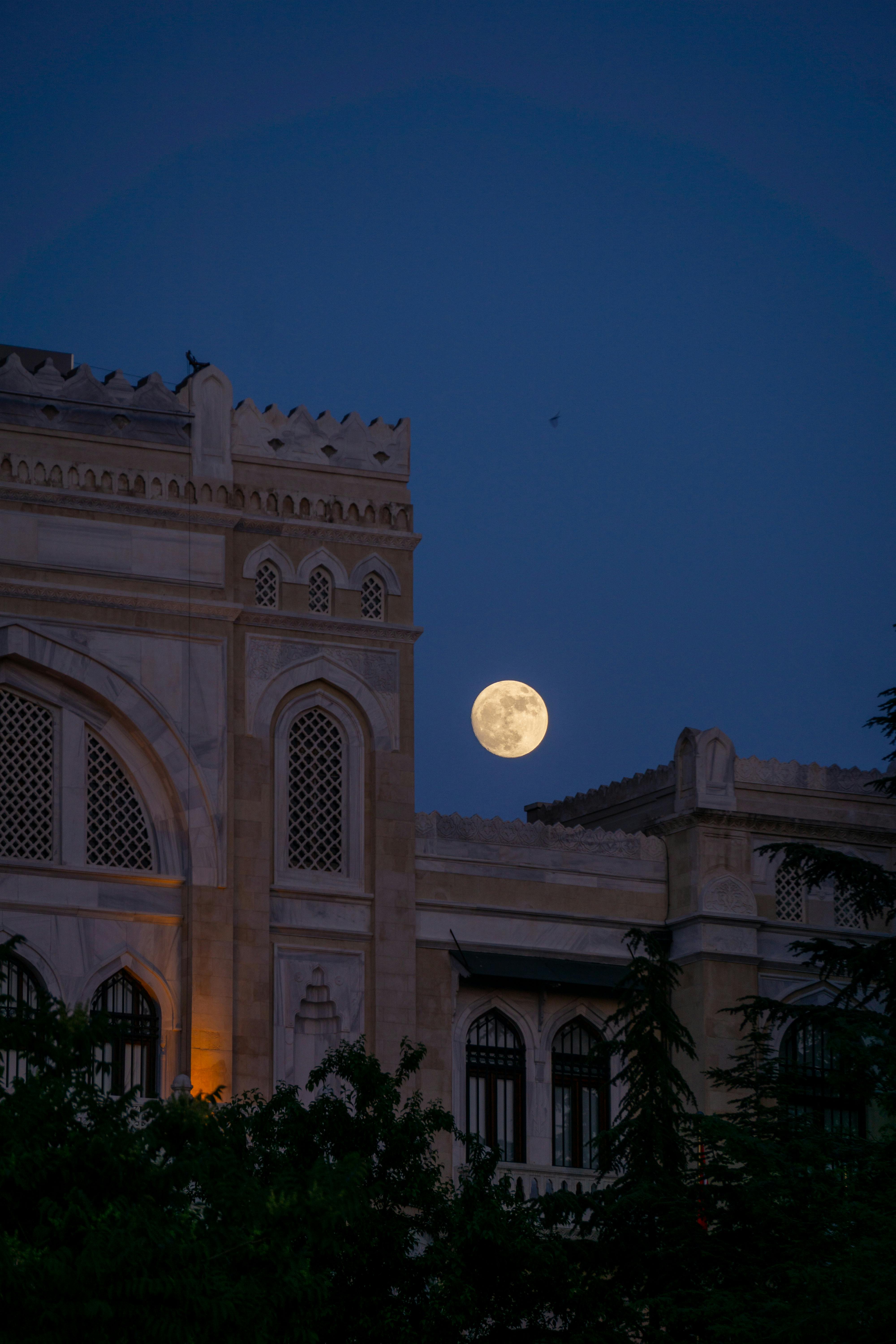 Midnight Photos, Download The BEST Free Midnight Stock Photos & HD Images