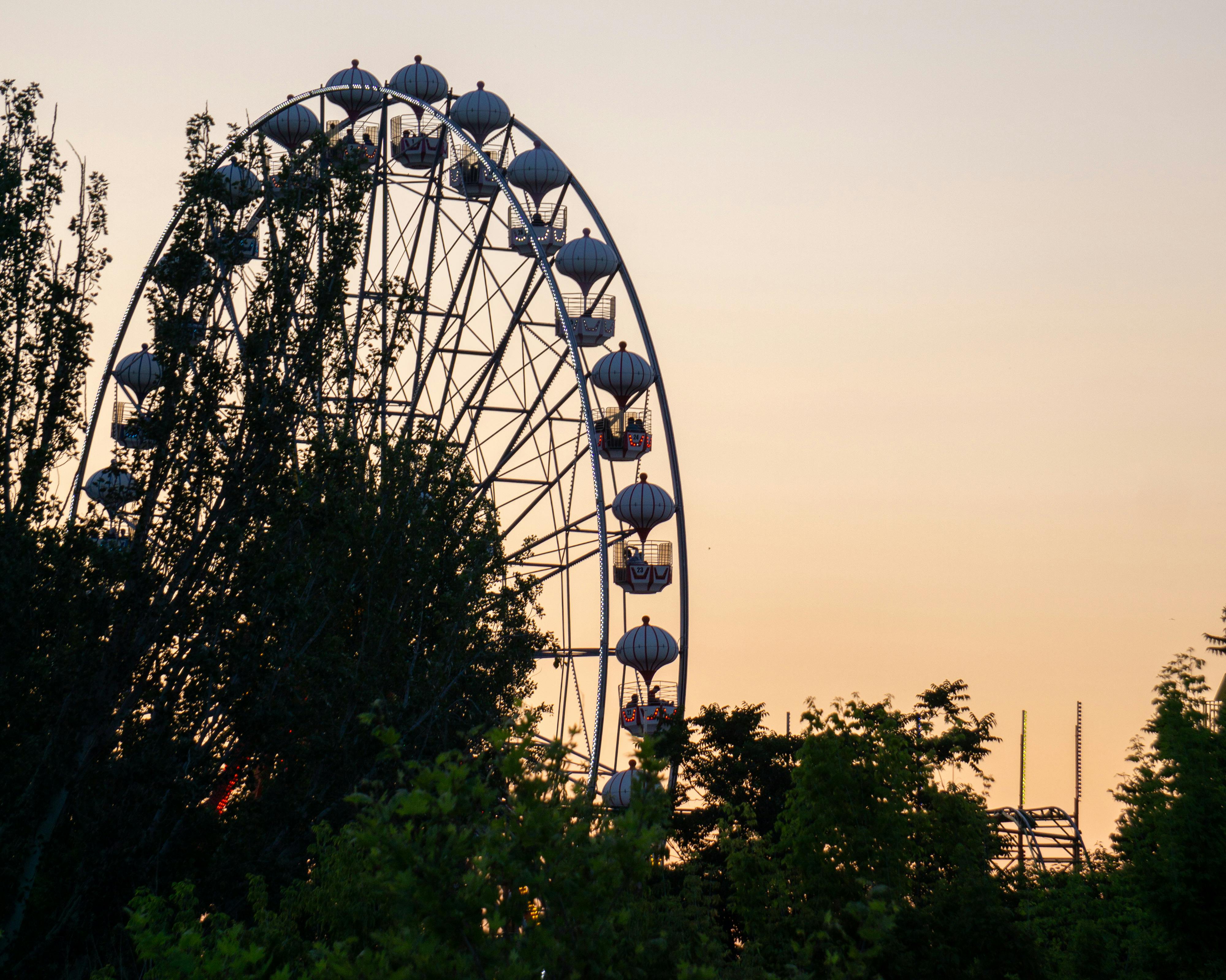 Large 3mb Vertical Pictures Photos, Download The BEST Free Large 3mb ...