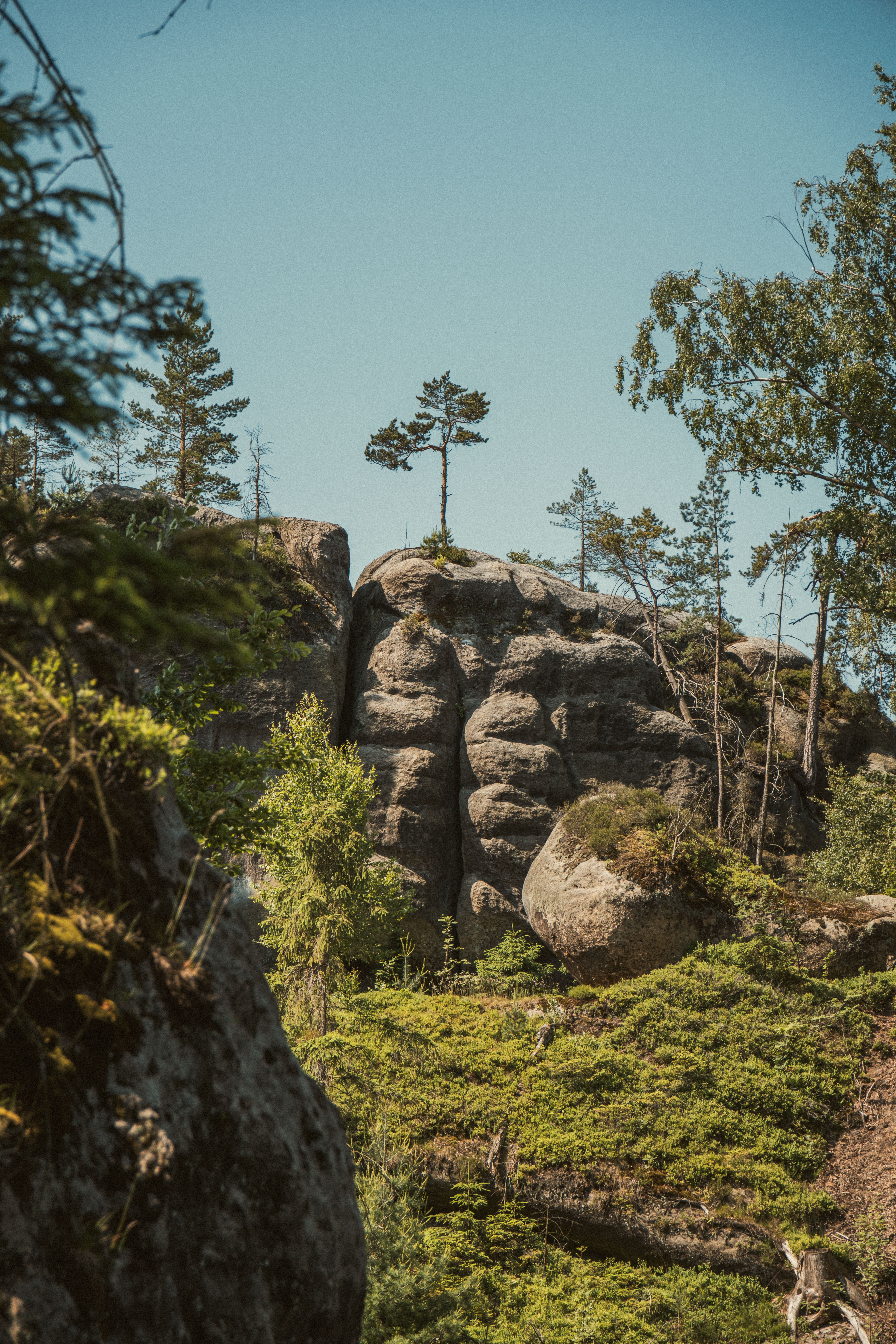 Scenic Sandstone Cliffs in Jonsdorf, Germany · Free Stock Photo