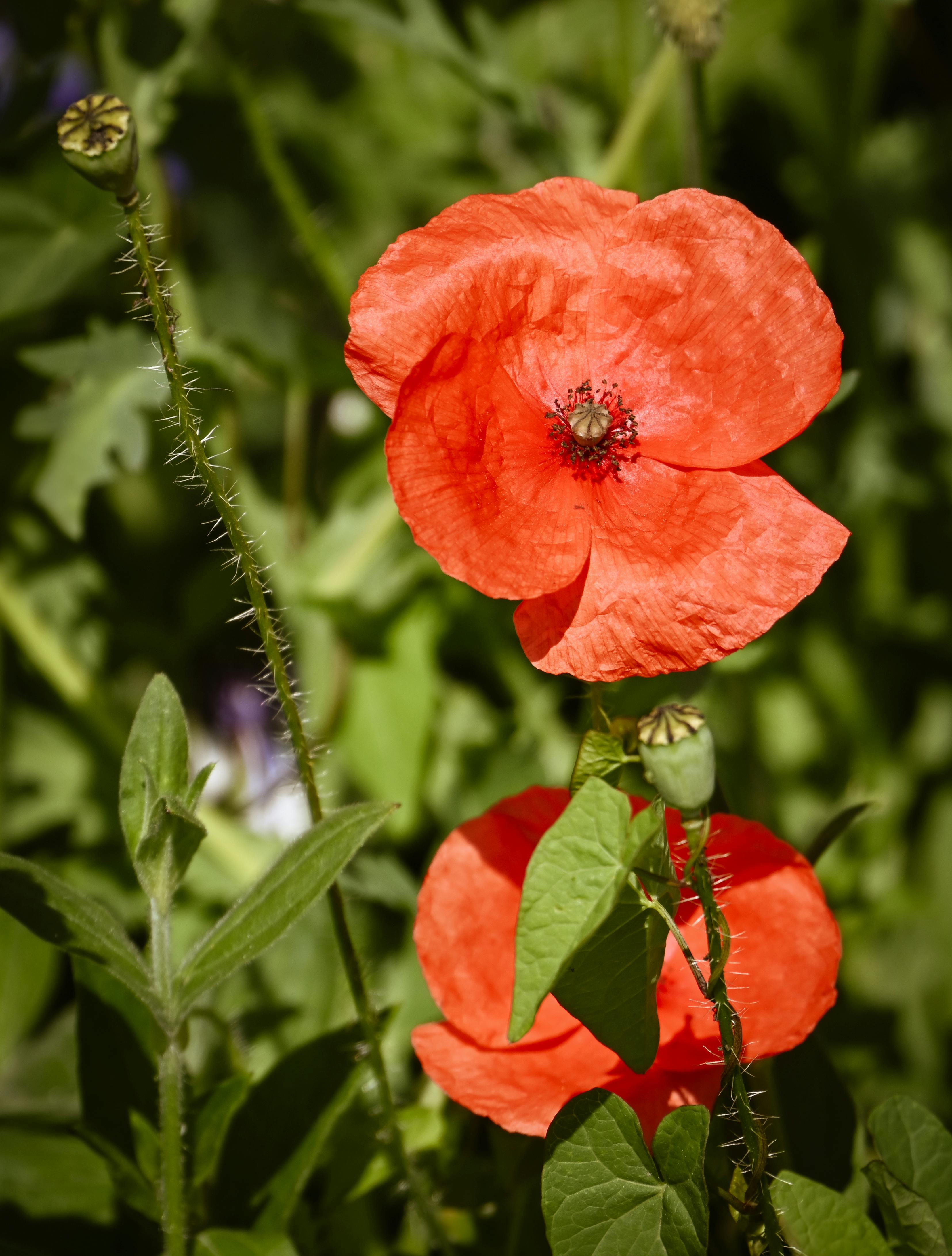 Xbox+One+Weed+Wallpaper Photos, Download The BEST Free Xbox+One+Weed ...