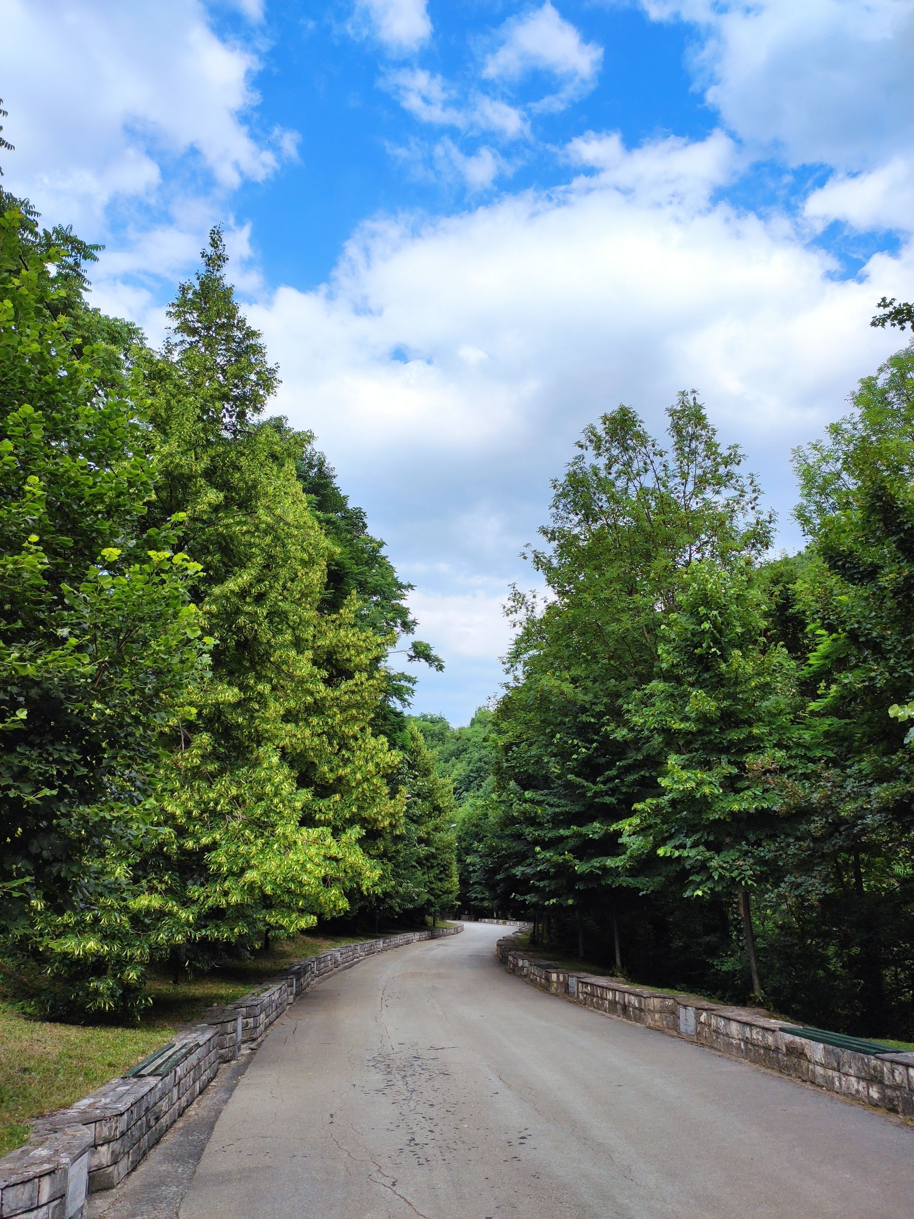 Peaceful Walking Path in Sarajevo's Natural Setting · Free Stock Photo