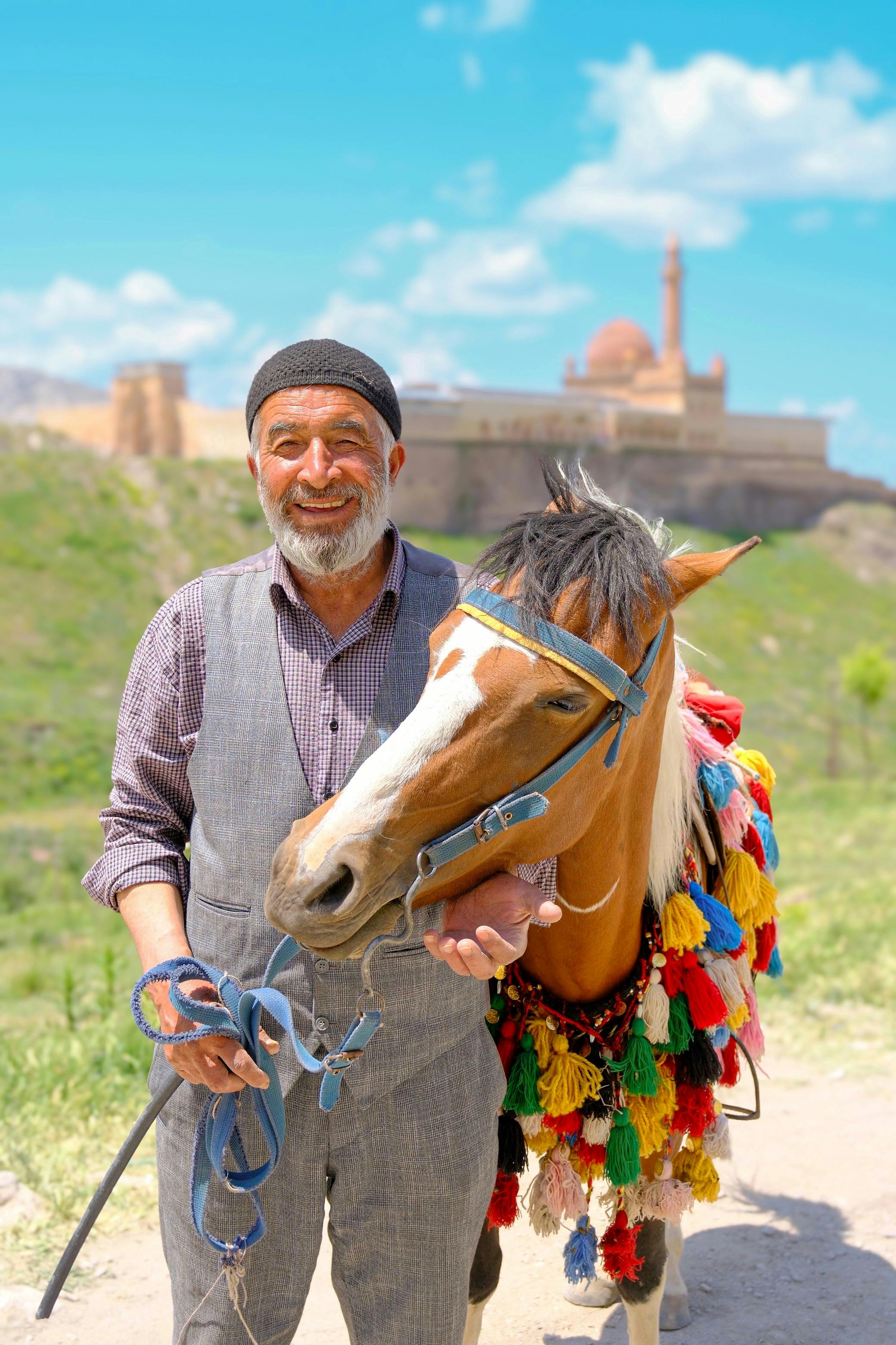 Liger Animal Photos, Download The BEST Free Liger Animal Stock Photos ...