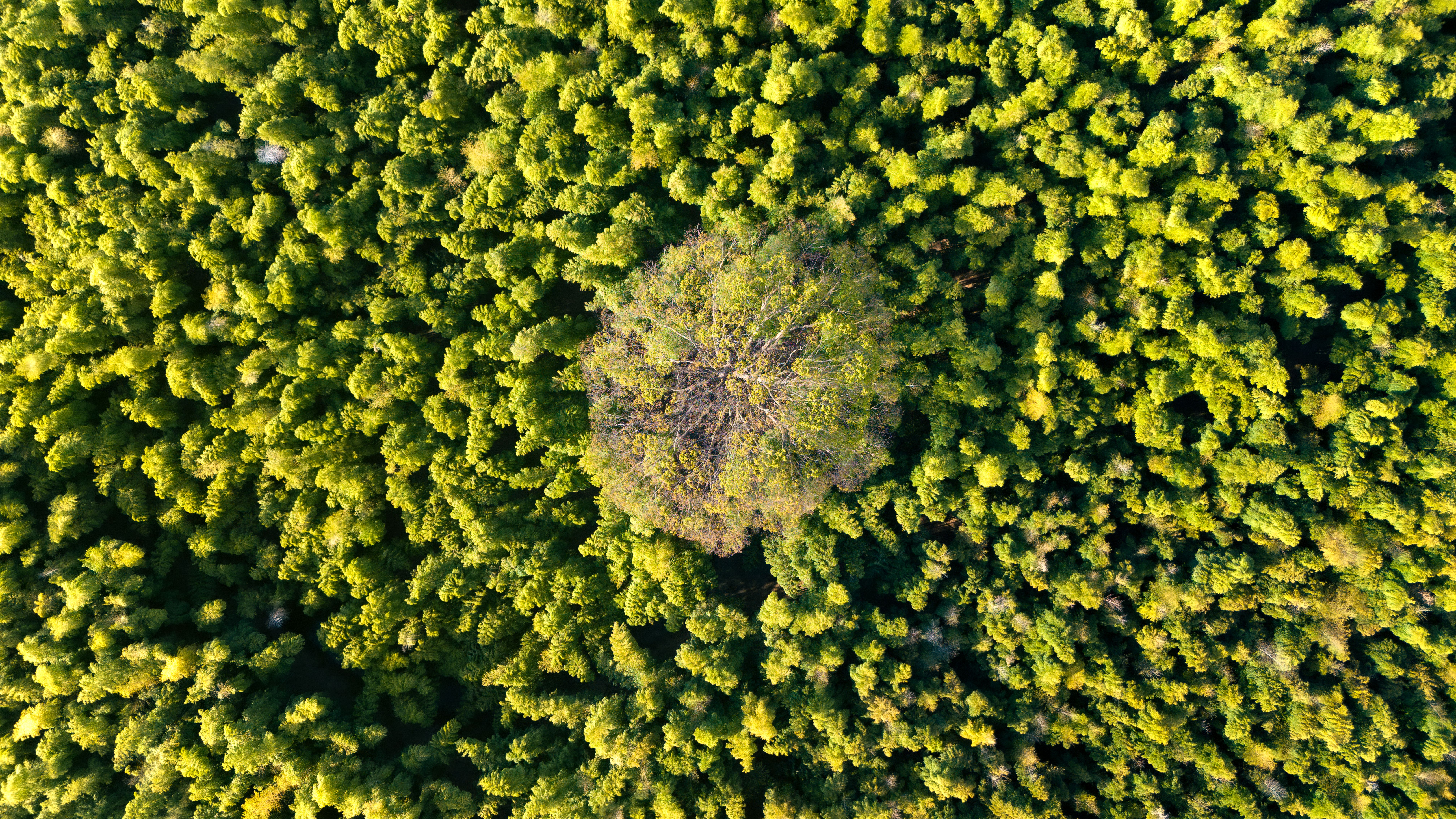 Full Cost Photos, Download The BEST Free Full Cost Stock Photos & HD Images