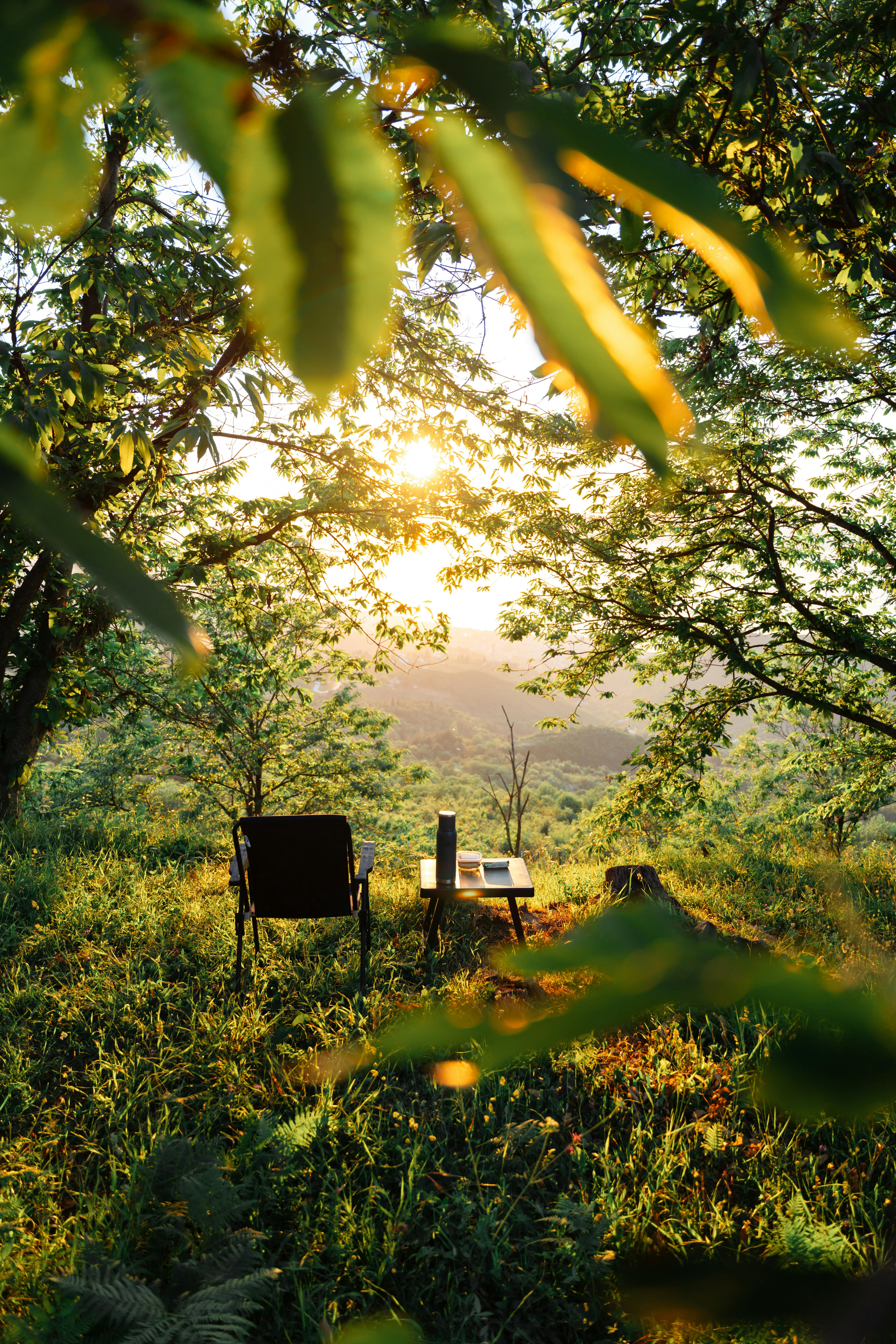 Competing Freelancing Photos, Download The BEST Free Competing ...