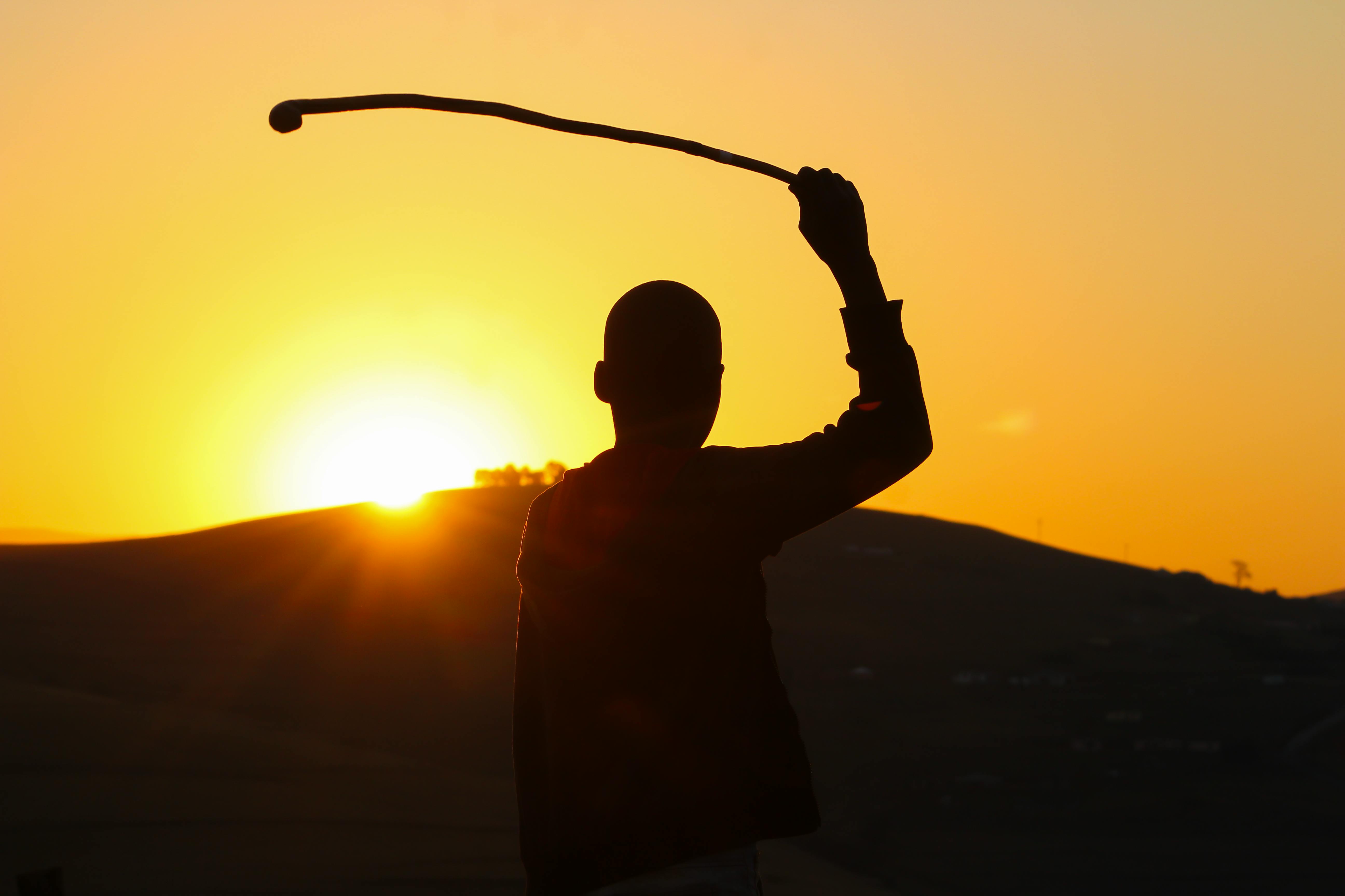 Daydrian Harding Photos, Download The BEST Free Daydrian Harding Stock ...