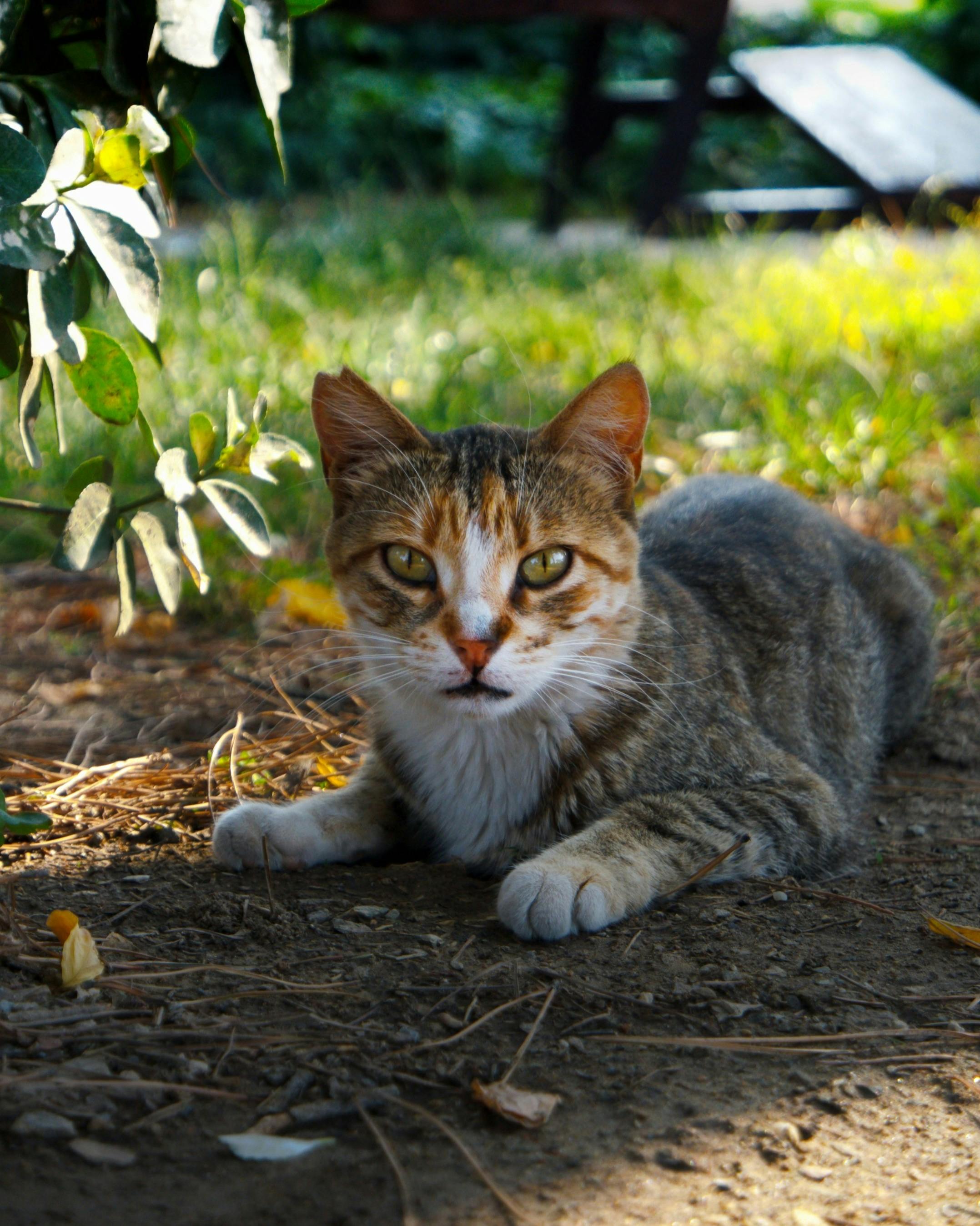 Minecraft+Item+Frame+Desktop+Wallpaper Photos, Download The BEST Free ...