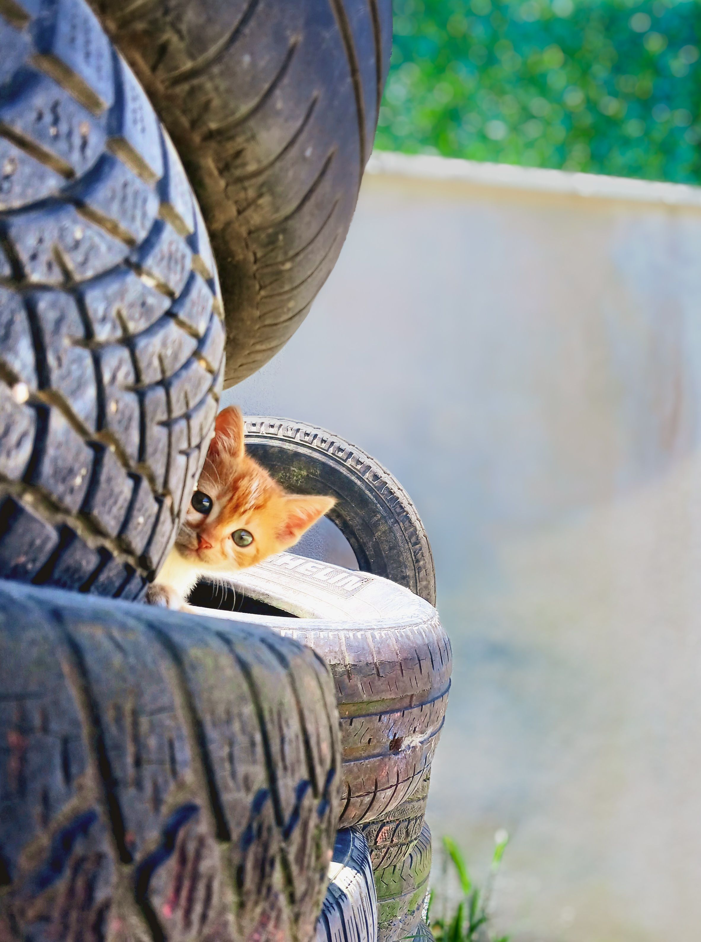 Shredded Tires Photos, Download The BEST Free Shredded Tires Stock ...
