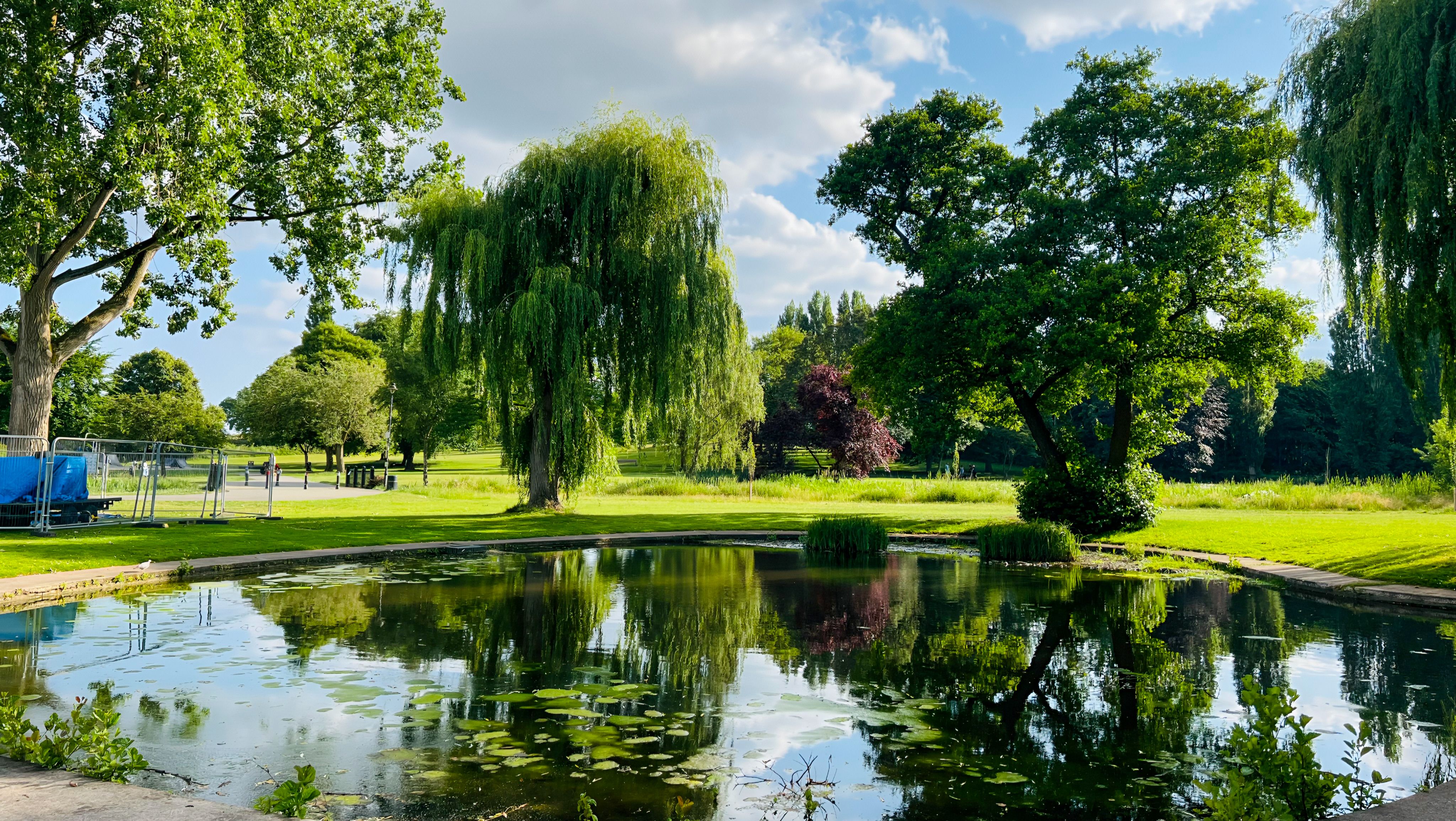 Park Summer Pond Tree
