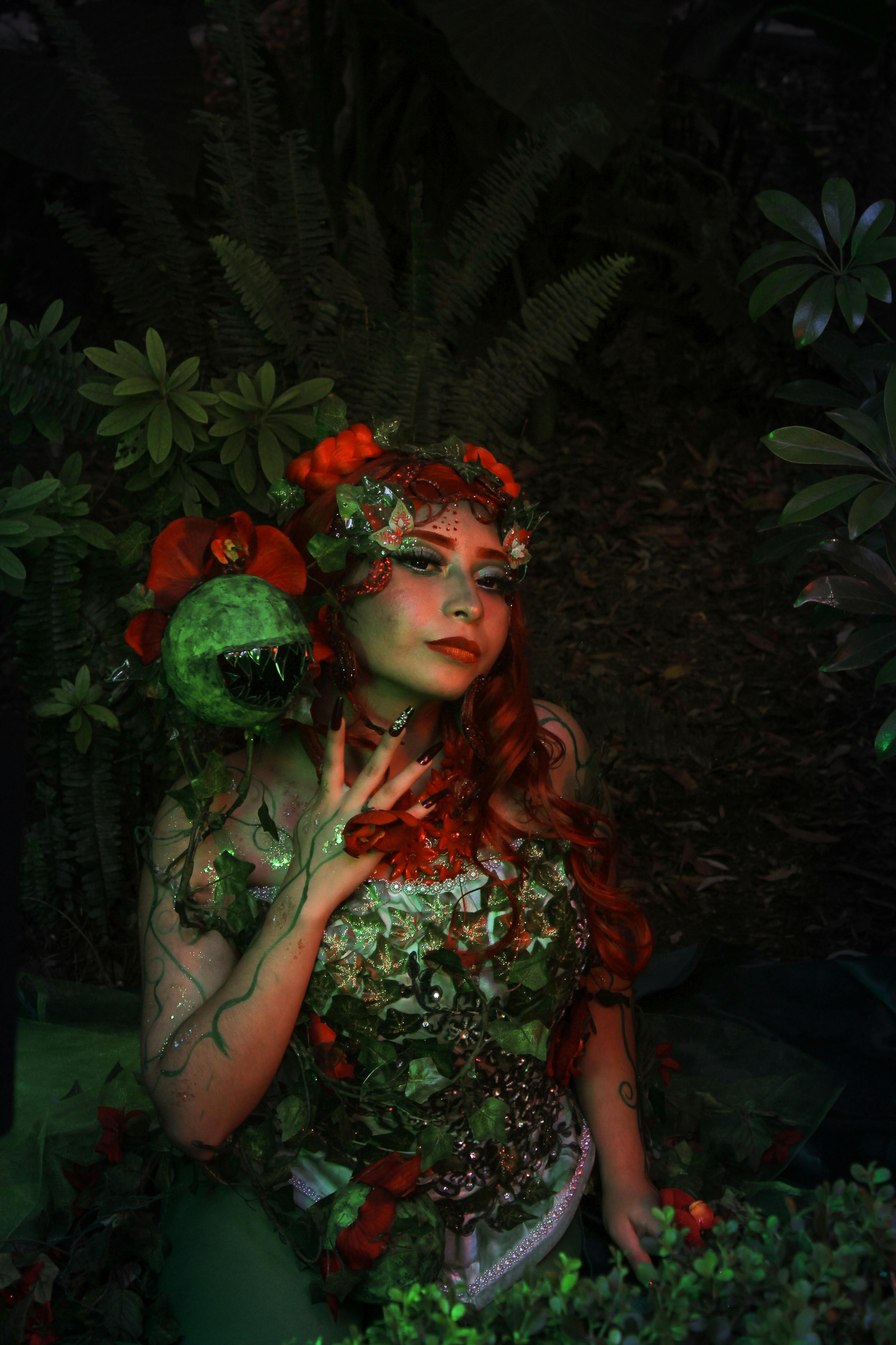 Enchanted Photos, Download The BEST Free Enchanted Stock Photos & HD Images