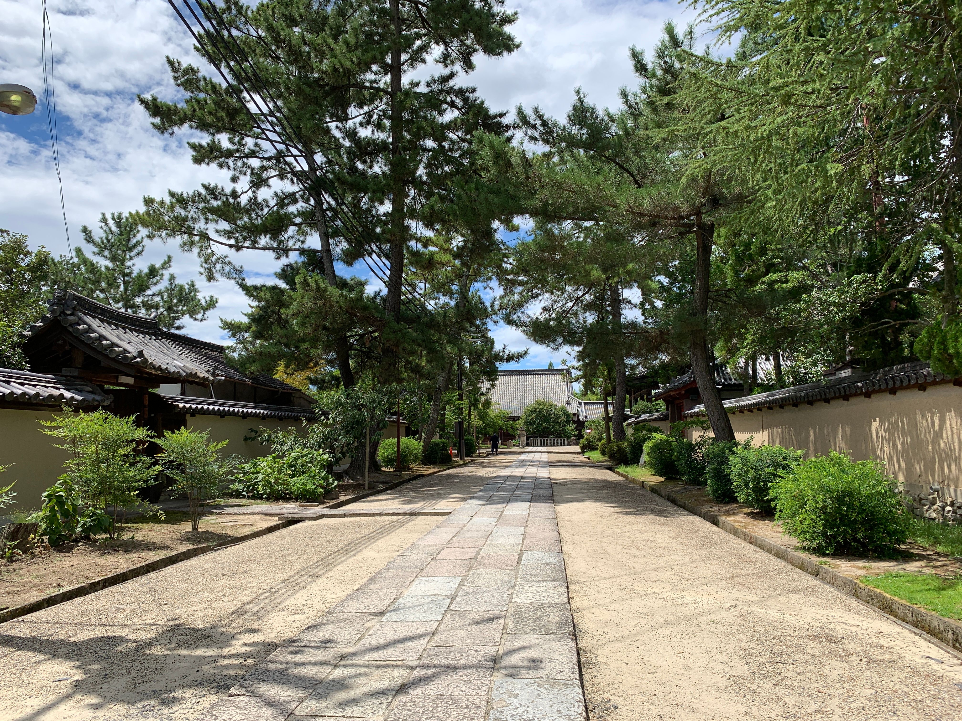 Tranquil Japanese Garden Pathway in Kyoto · Free Stock Photo
