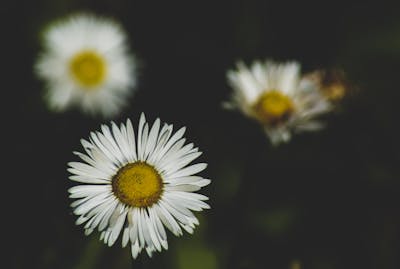 Trivia Background Photos, Download The BEST Free Trivia Background ...