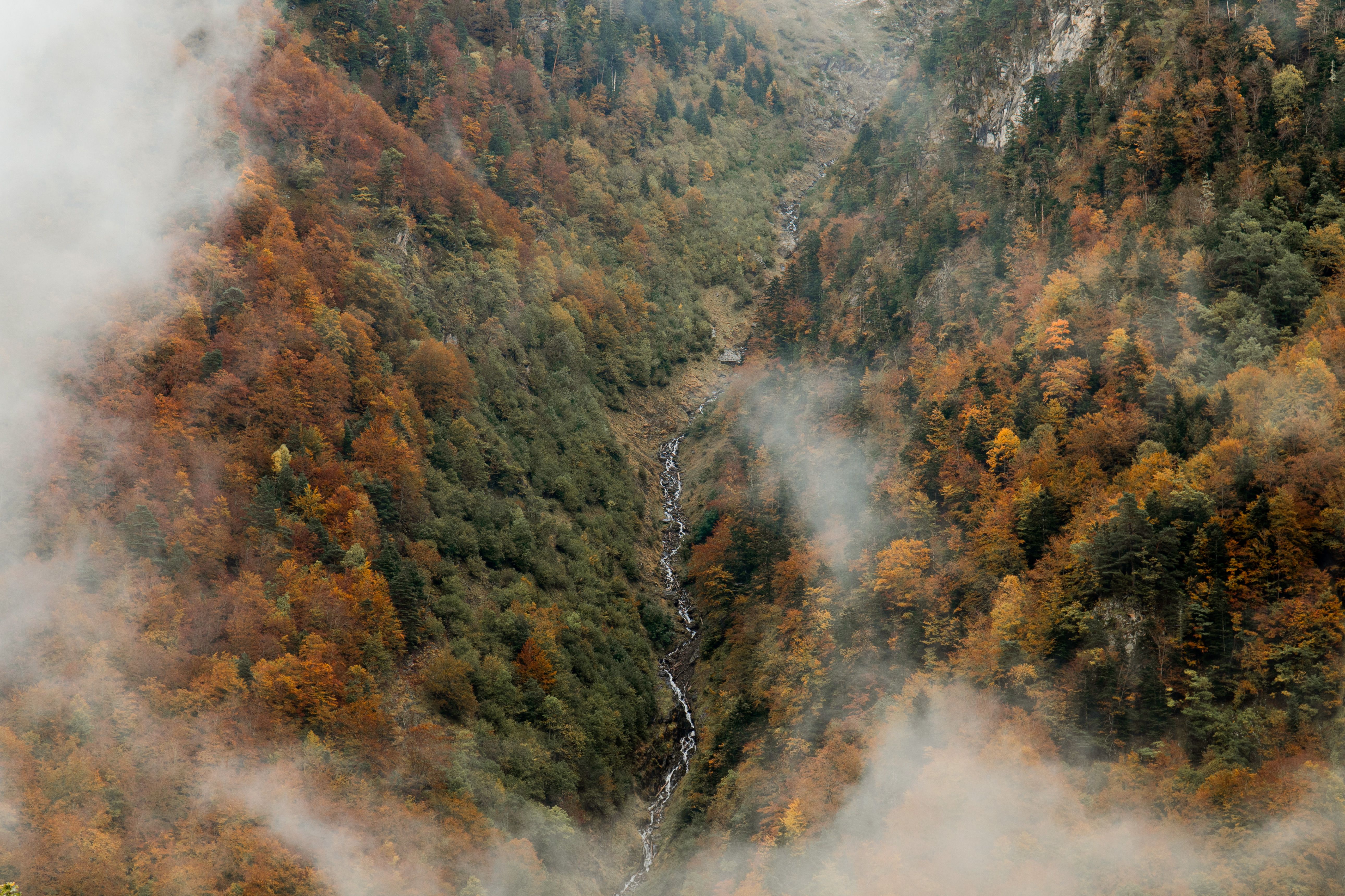 Peaceful Climate Landscape View Photos, Download The BEST Free Peaceful ...