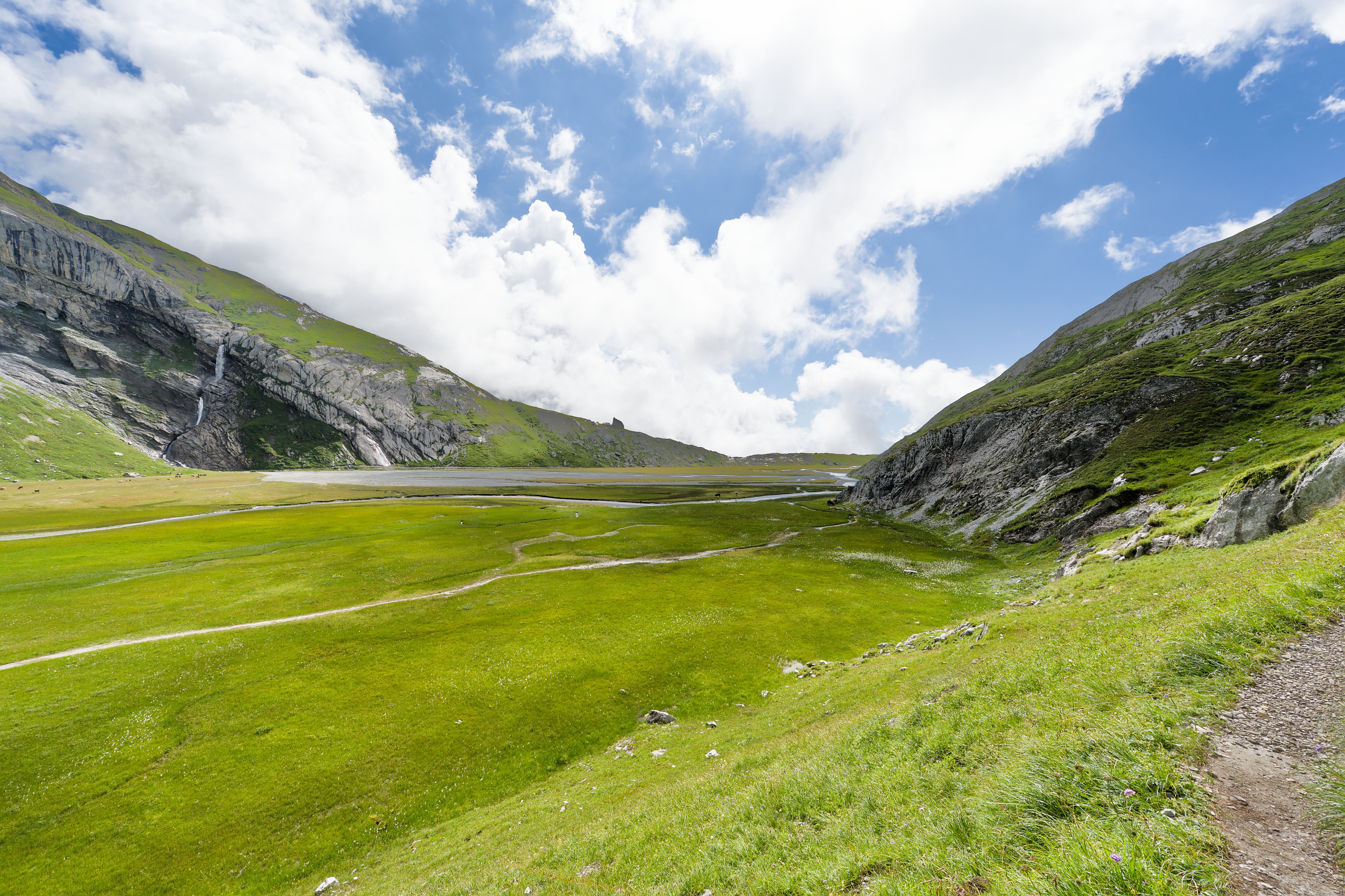 Picturesque Swiss Alpine Landscape with Vibrant Greenery · Free Stock Photo