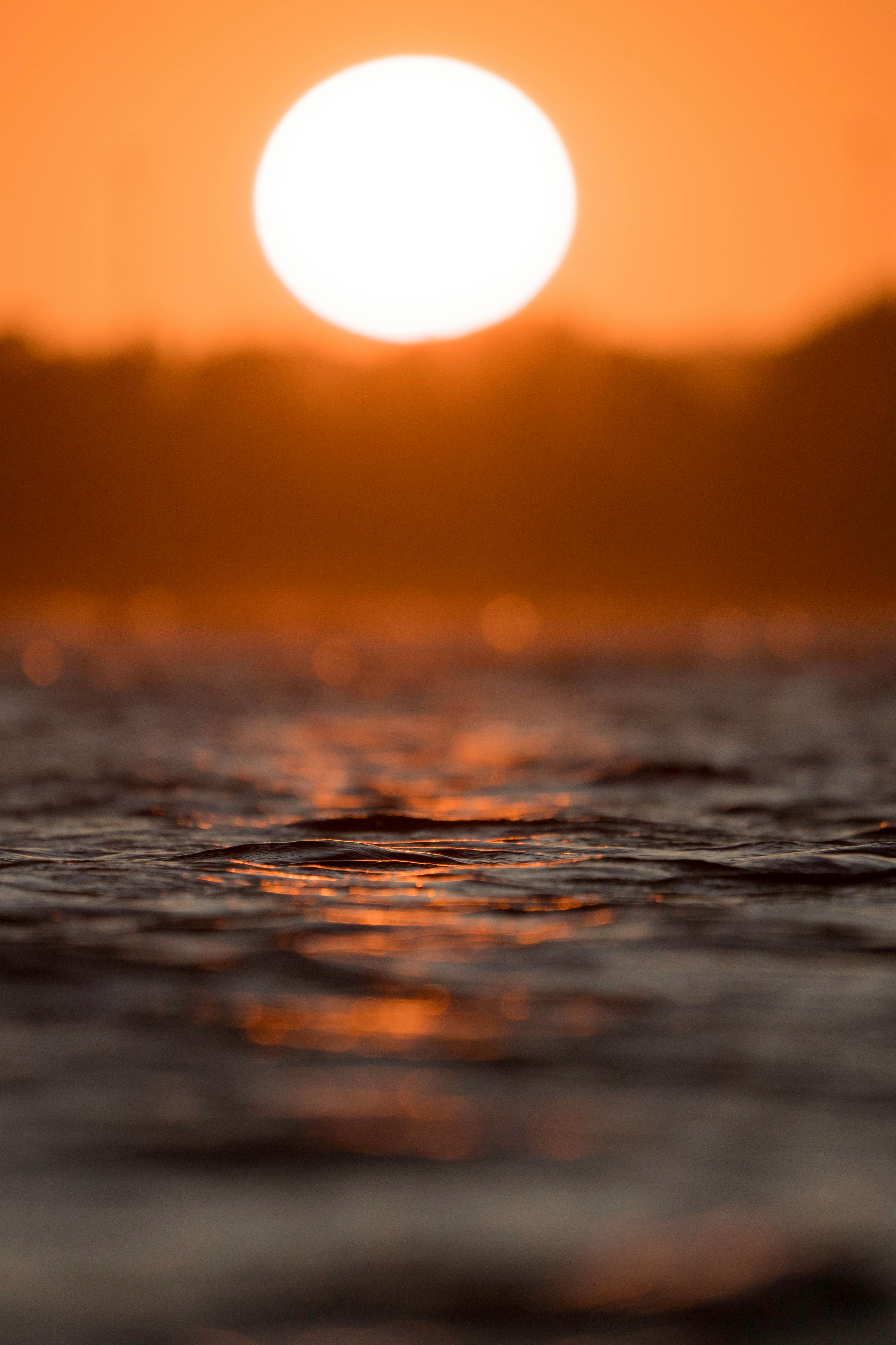 Tranquil Sunset Over Calm Waters · Free Stock Photo