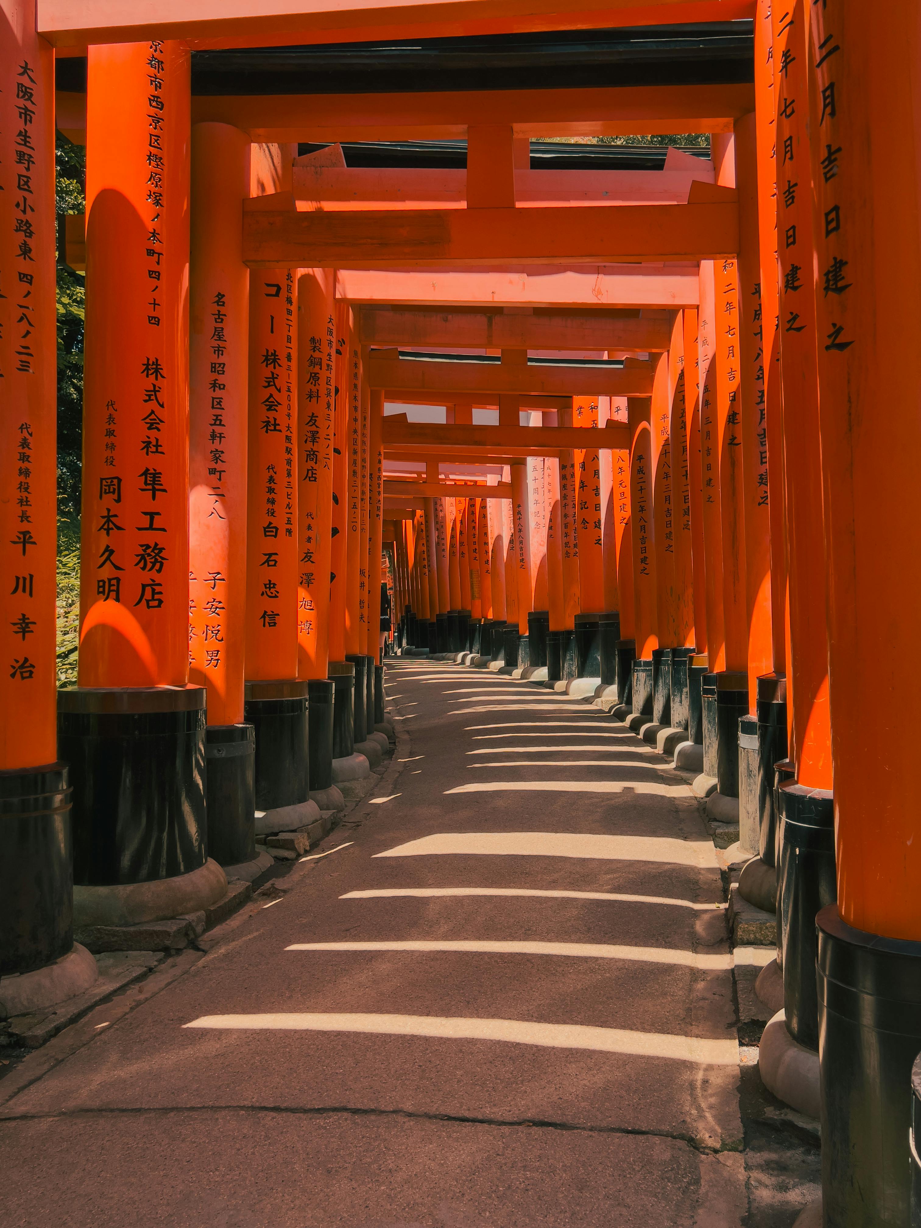 Japanese Arc Photos, Download The BEST Free Japanese Arc Stock Photos ...