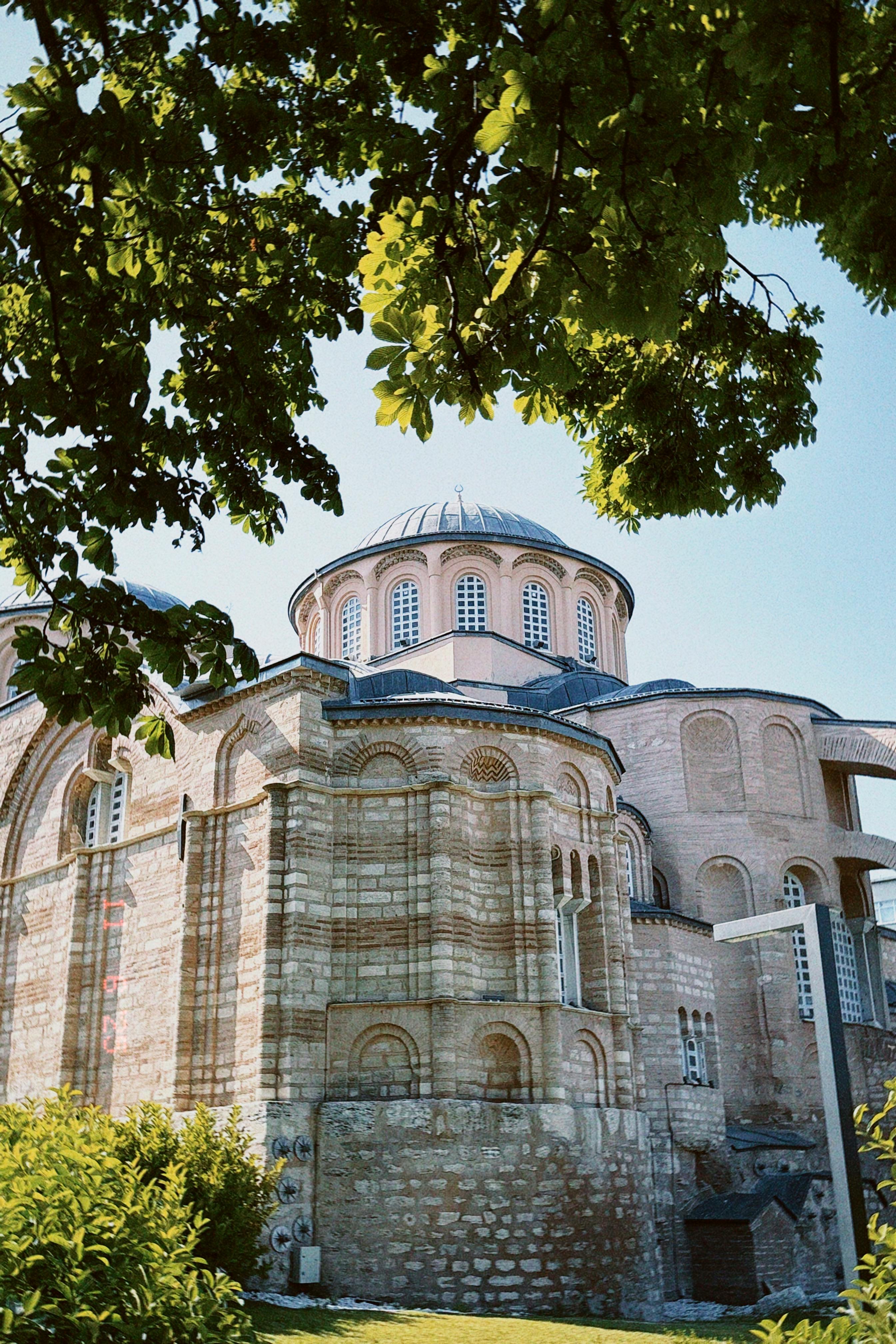 Inheritance Photos, Download The BEST Free Inheritance Stock Photos ...