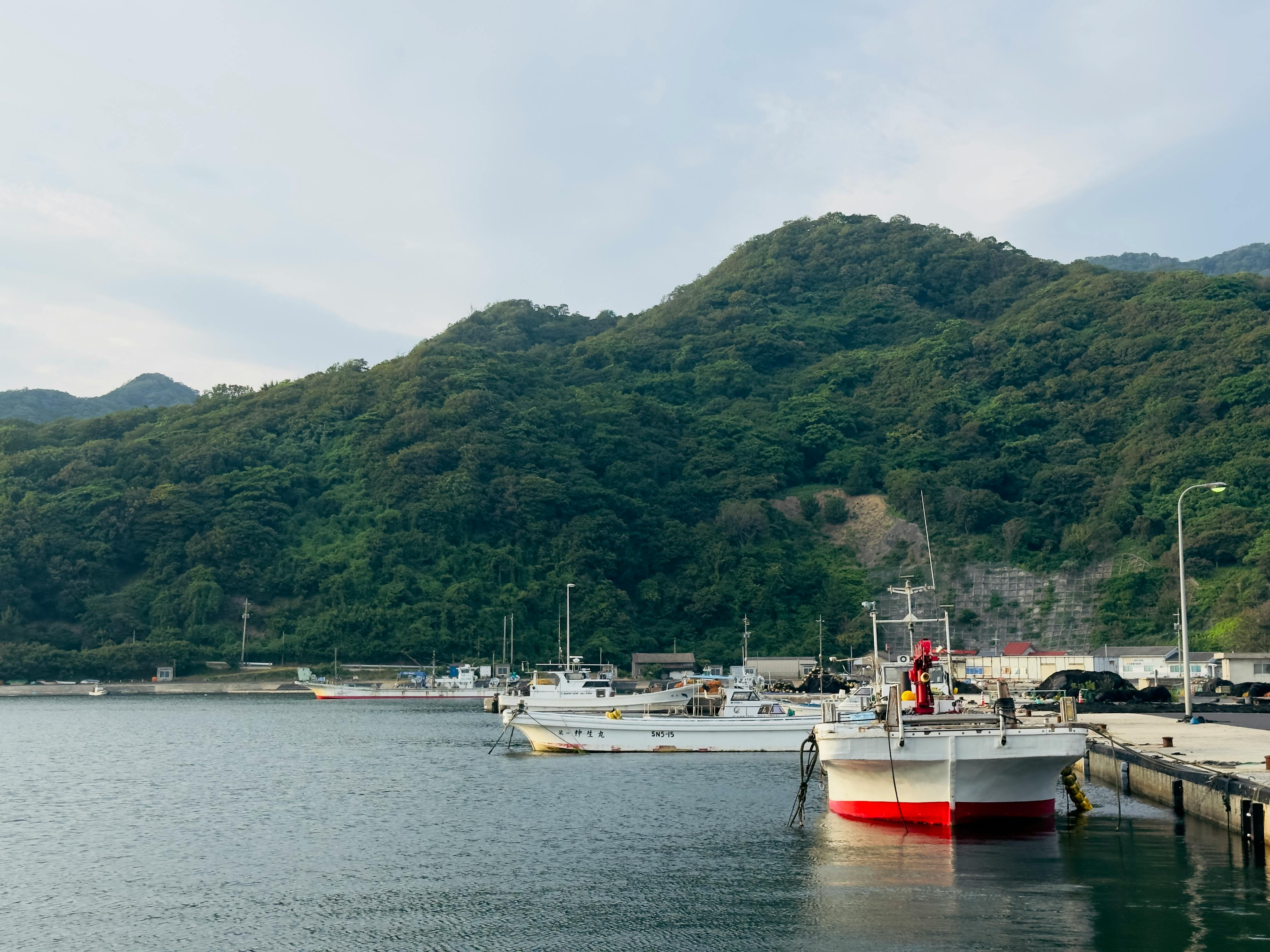Scenic Port with Fishing Boats and Lush Green Hills · Free Stock Photo