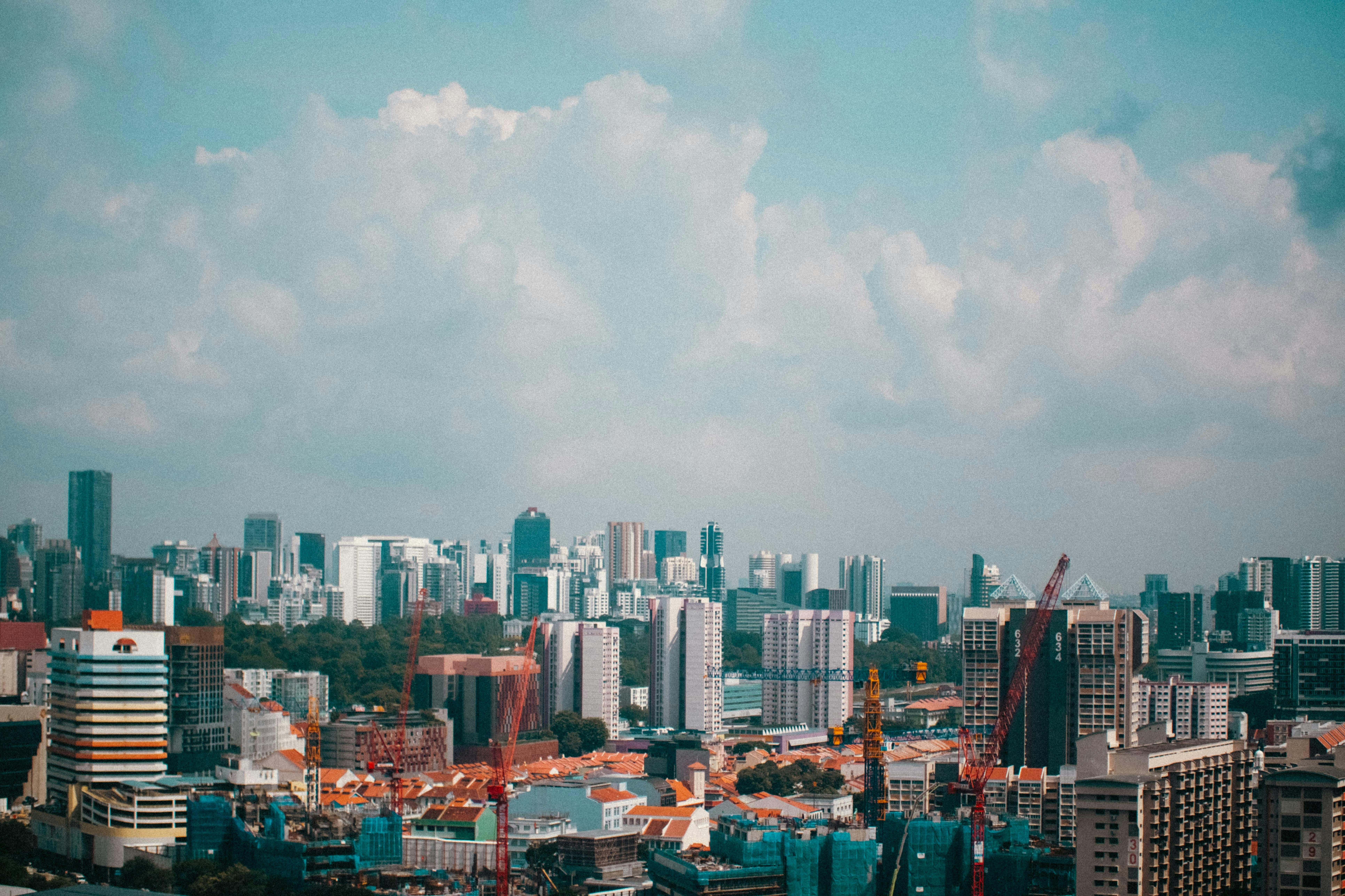 Consejos De Cbd Photos, Download The BEST Free Consejos De Cbd Stock ...