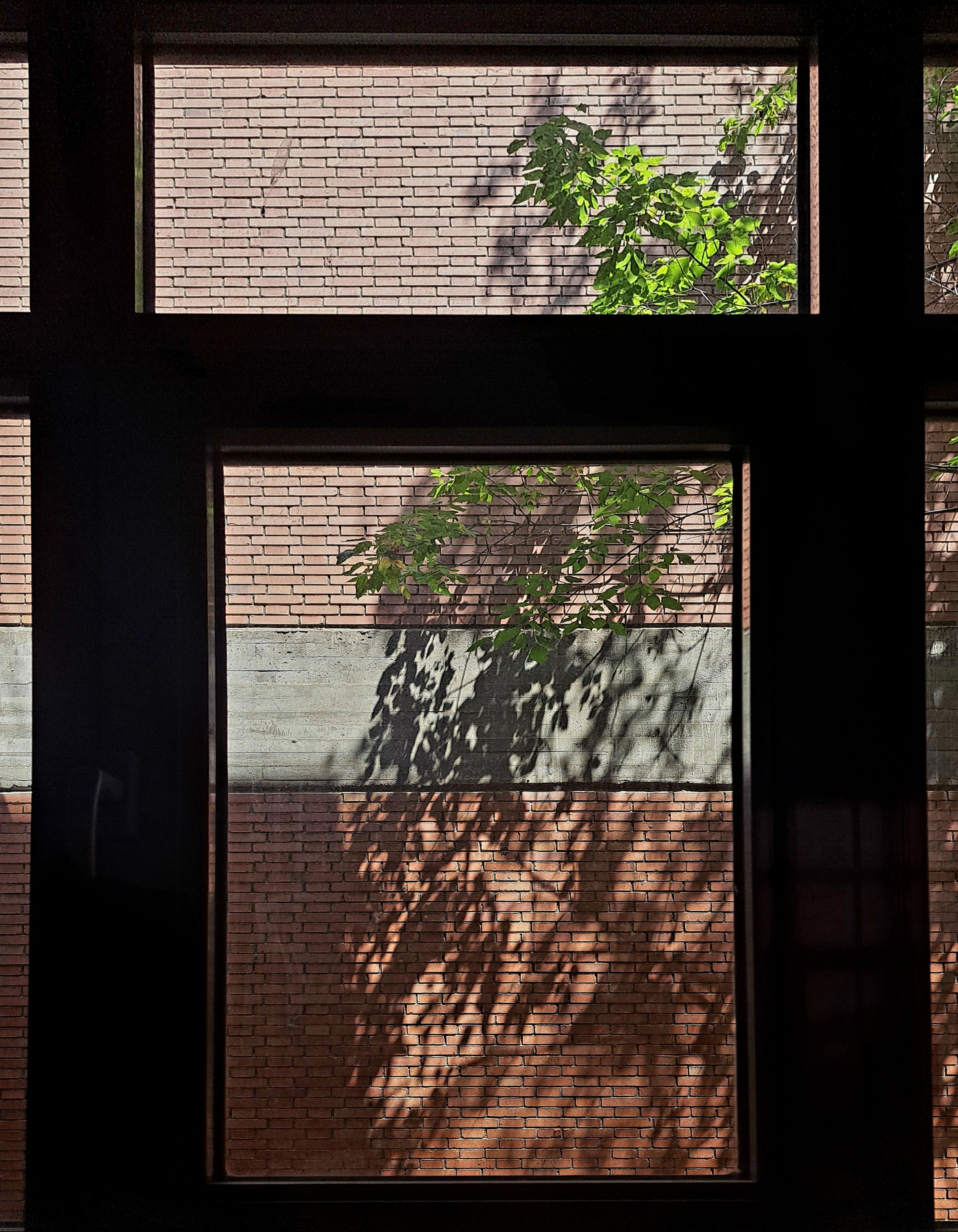 Trignometric Patterns Photos, Download The BEST Free Trignometric ...