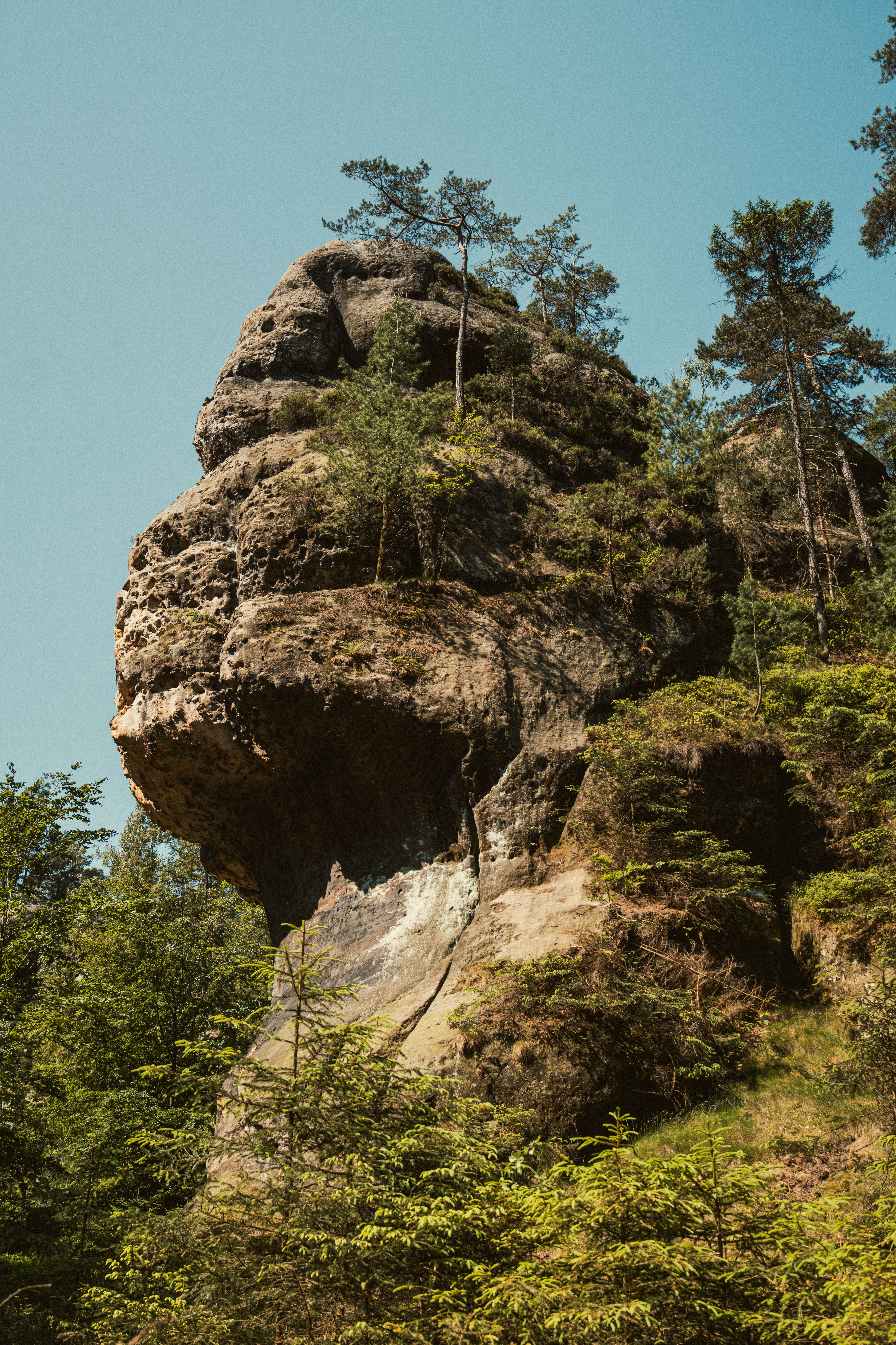 Sunlit Sandstone Cliffs in Zittau, Germany · Free Stock Photo