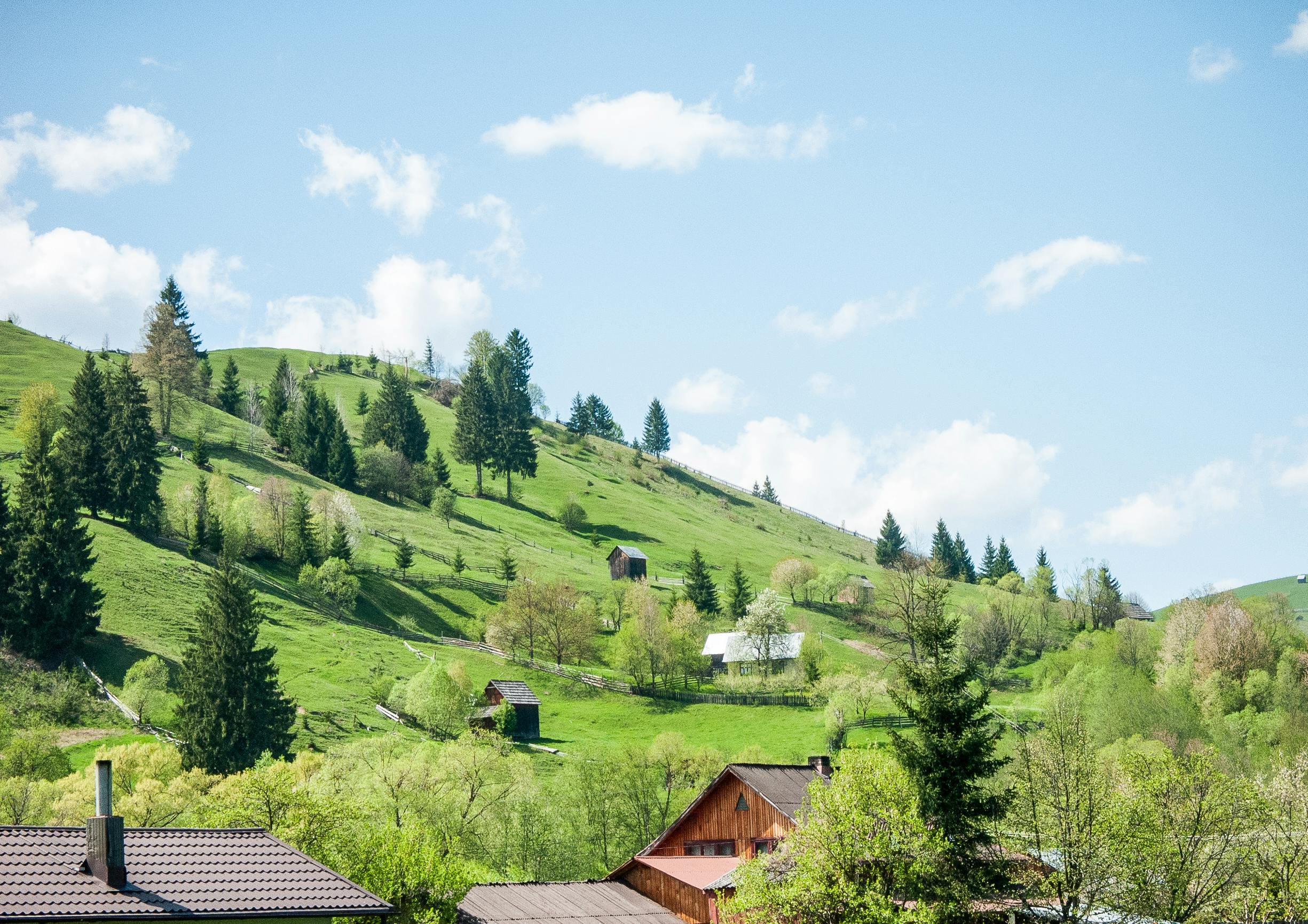 Clean Environment Photos, Download The BEST Free Clean Environment ...