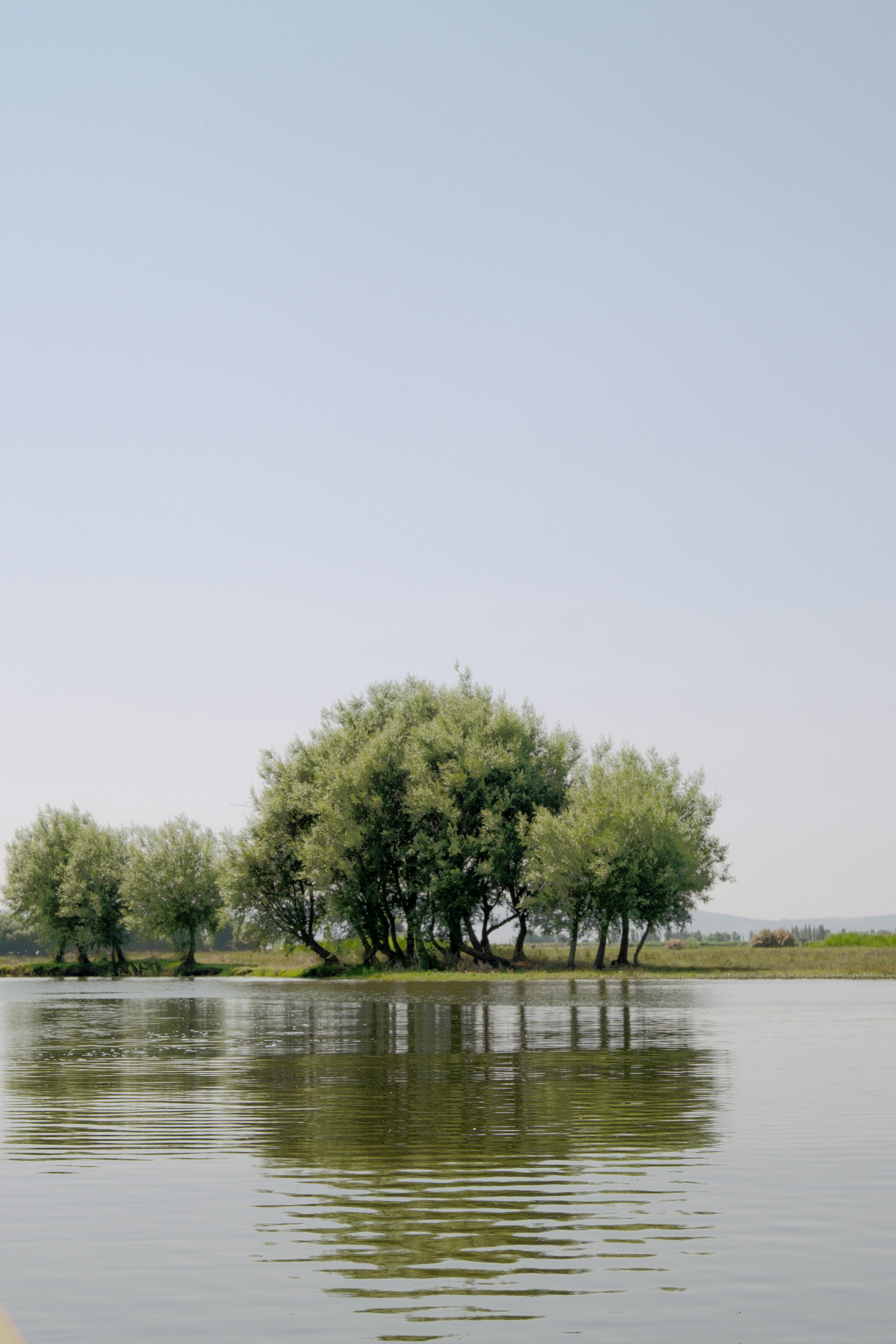 Nature View Photos, Download The BEST Free Nature View Stock Photos ...