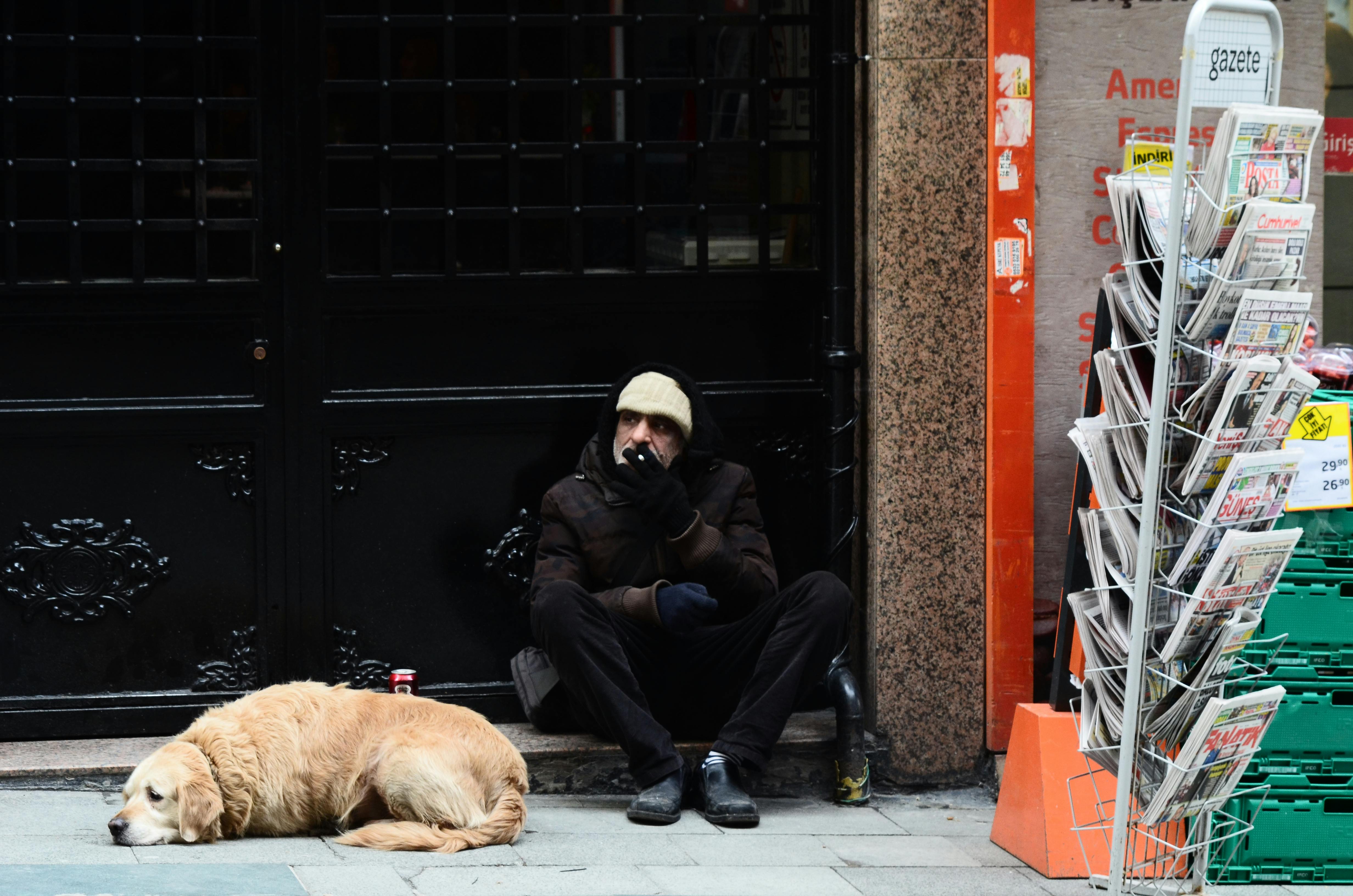 Coder Dog Photos, Download The BEST Free Coder Dog Stock Photos & HD Images