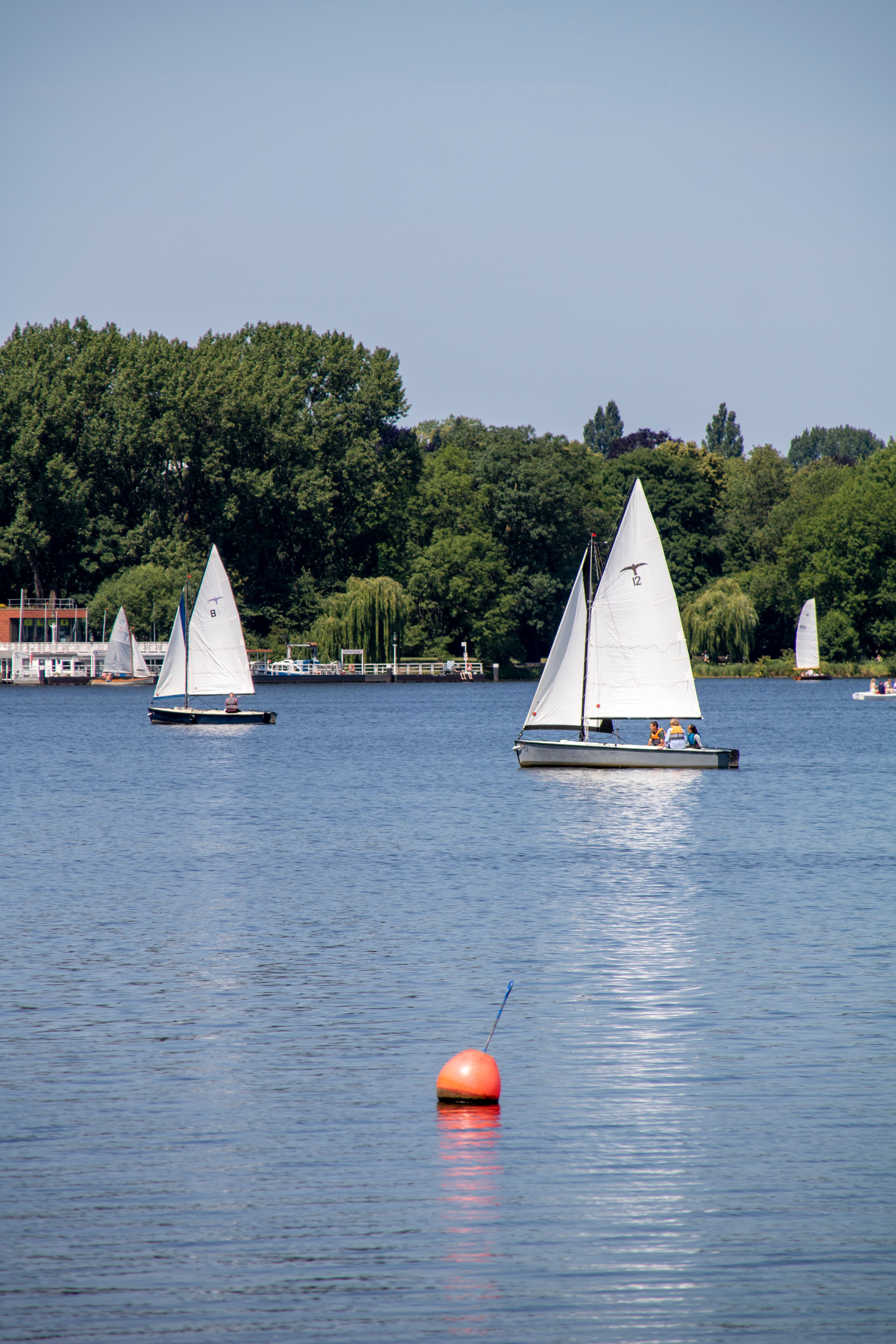 Sailboats on Alster Lake on a Summer Day · Free Stock Photo